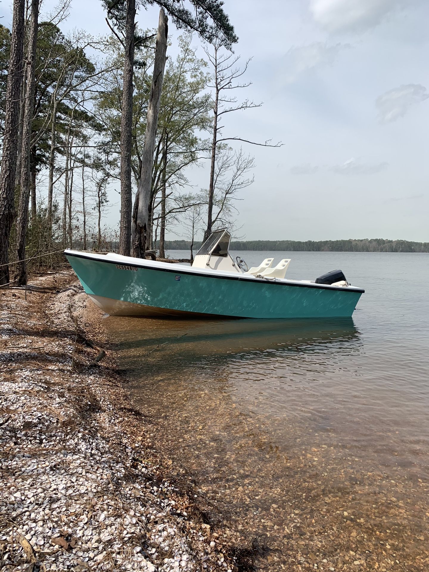 Proline For Sale - ZeBoats