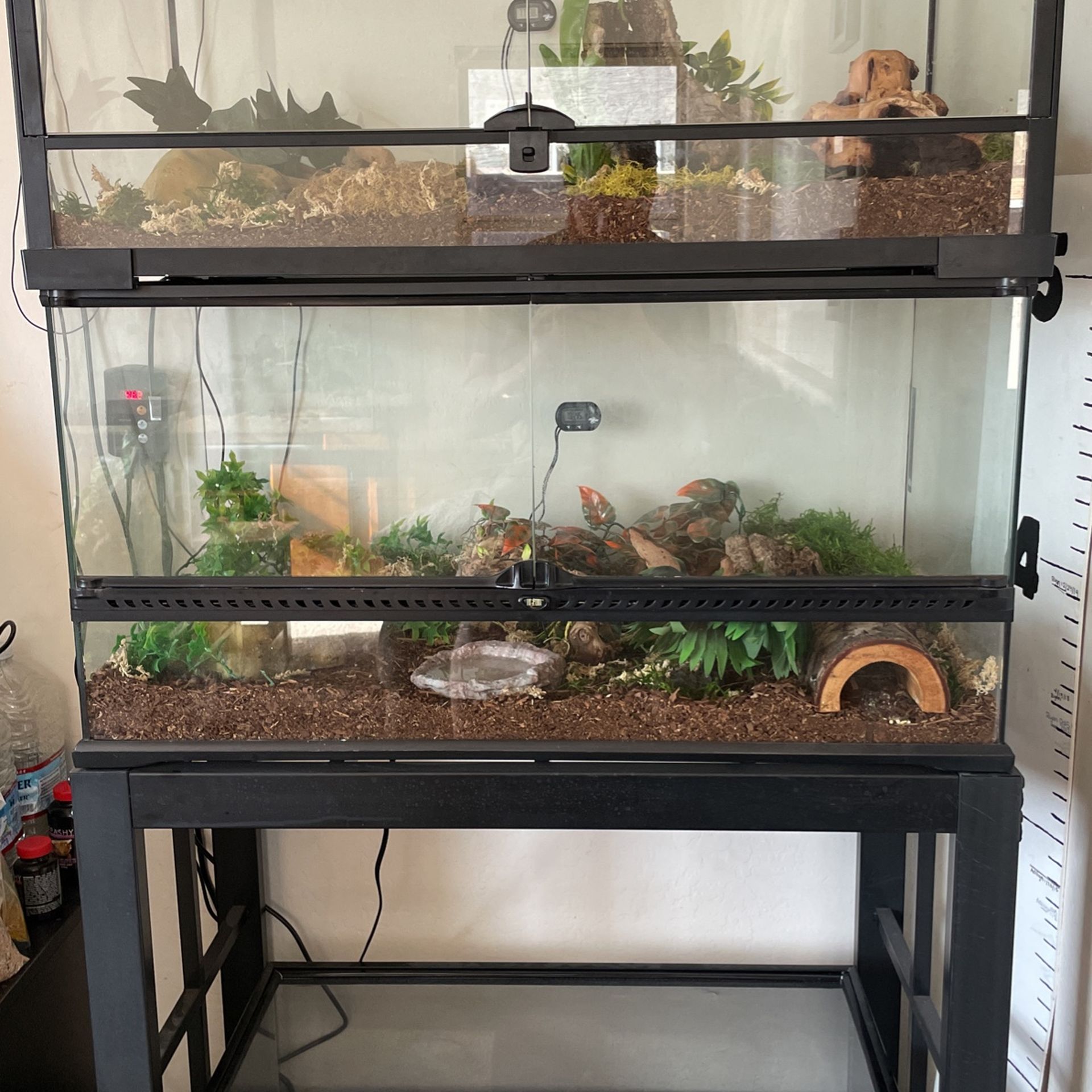 40 gal Leopard Gecko COMPLETE Set Up for Sale in Peoria, AZ - OfferUp