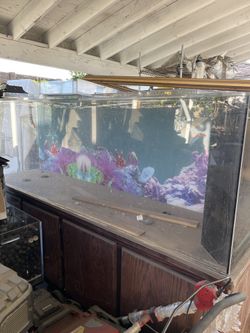500 Gallon Fish Tank