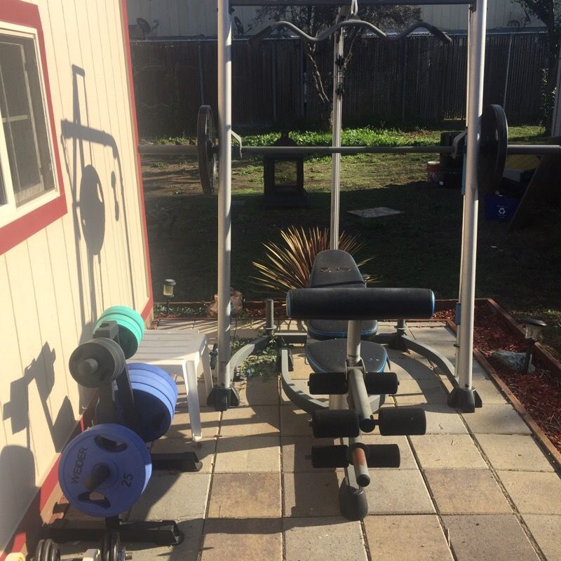Pro form XP 300 Gym set, 370lbs Weider Olympic Weights and weight tree ...