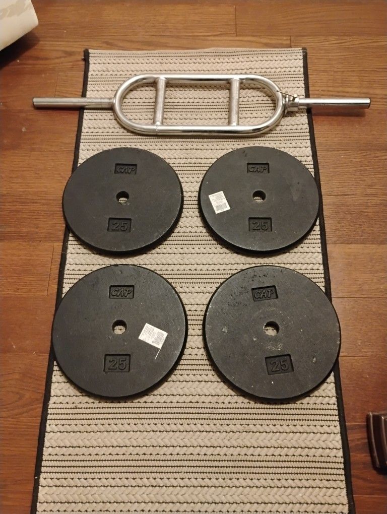 100 Ibs Weight Plate With Tricep Bar for Sale in Germantown, MD - OfferUp