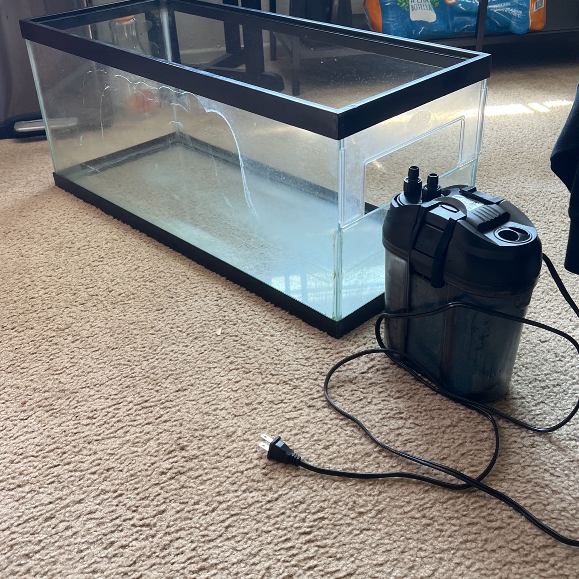 Tank Plus Turtle Filter for Sale in Alhambra, CA - OfferUp