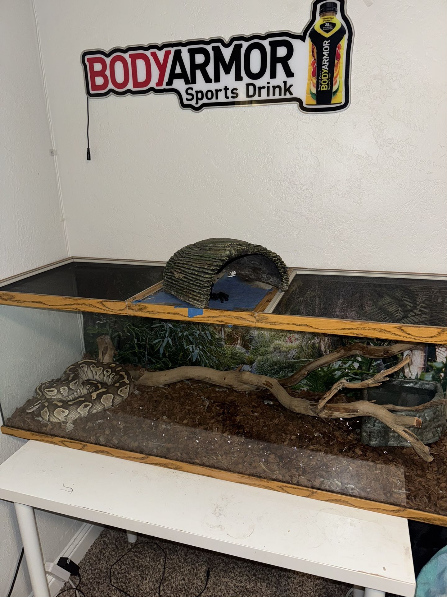 Snake Tank for Sale in Dinuba, CA - OfferUp