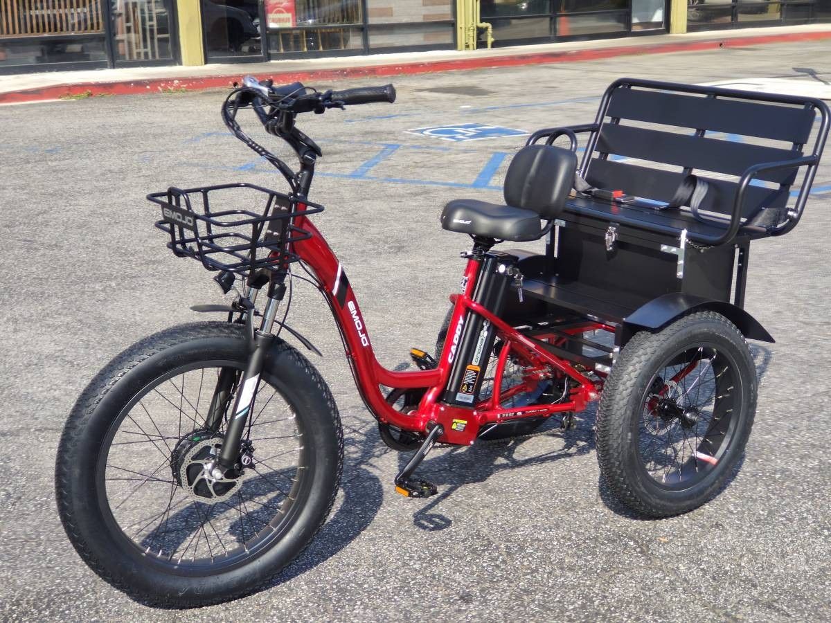 electric-e-trike-etrike-passenger-conversion-bench-back-seat-ebike-e