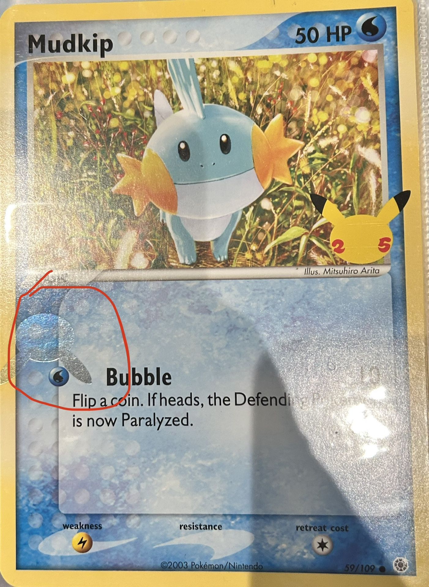 Shiny Mudkip Card