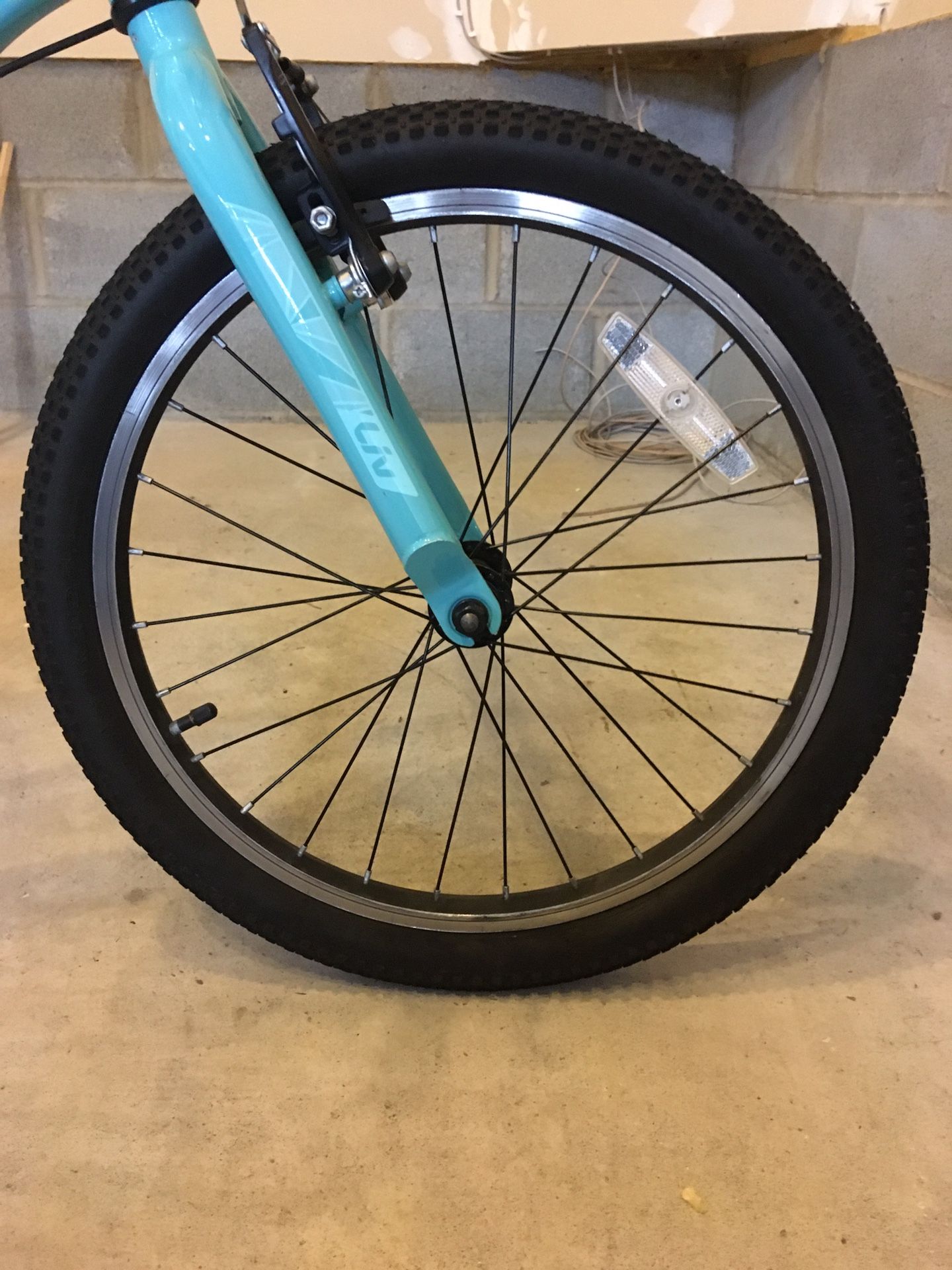 Liv Enchant 20 Lite Kids Mountain Bike For Sale In Johns