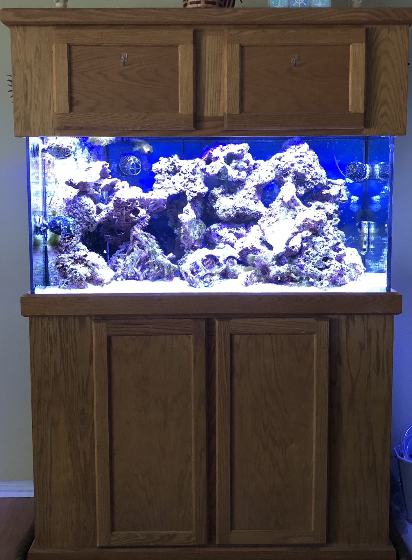 90 Gal. Saltwater Fish Tank for Sale in Pembroke Pines, FL - OfferUp