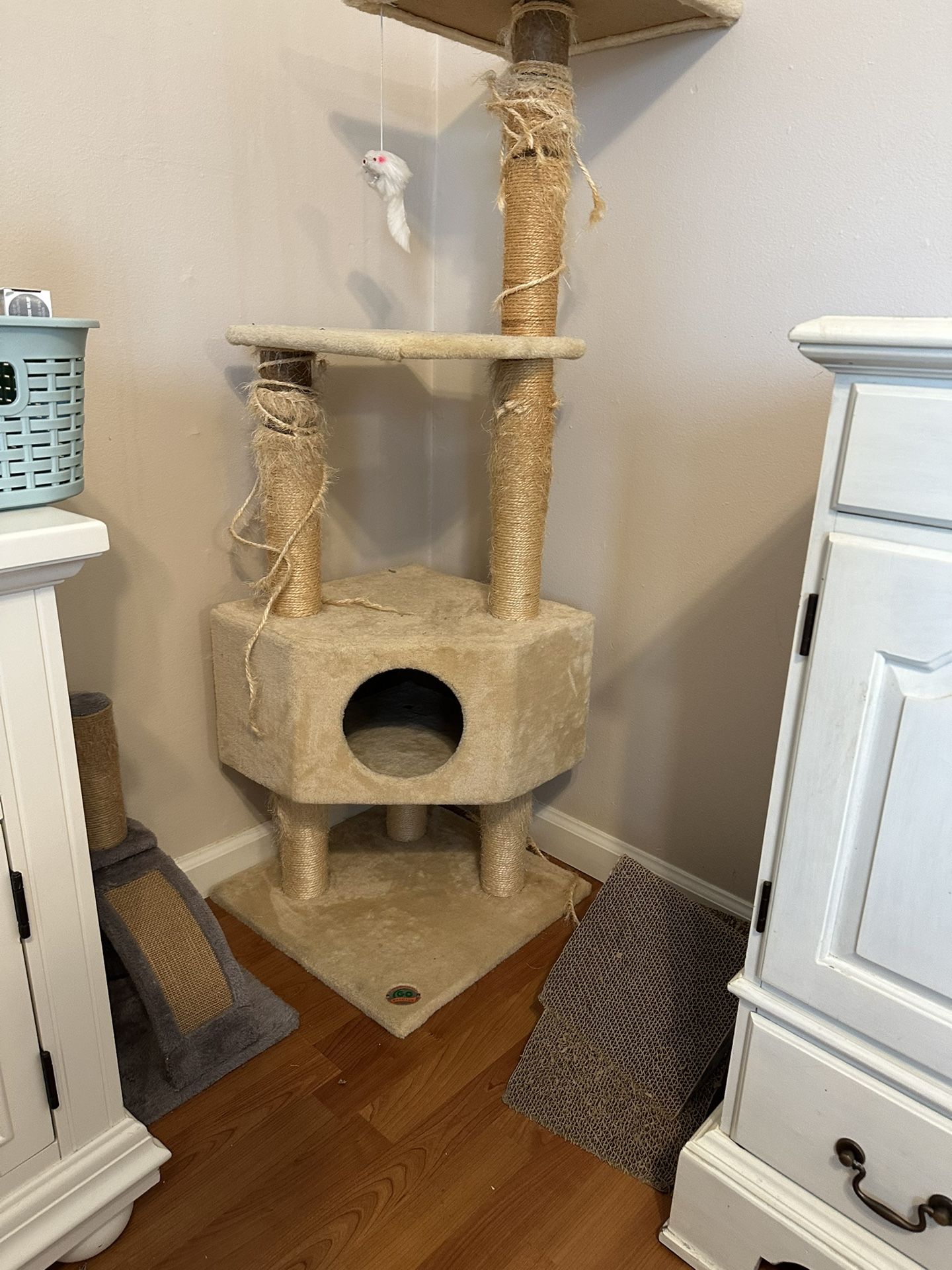 Free Cat Tree And Scratchers for Sale in San Diego, CA - OfferUp