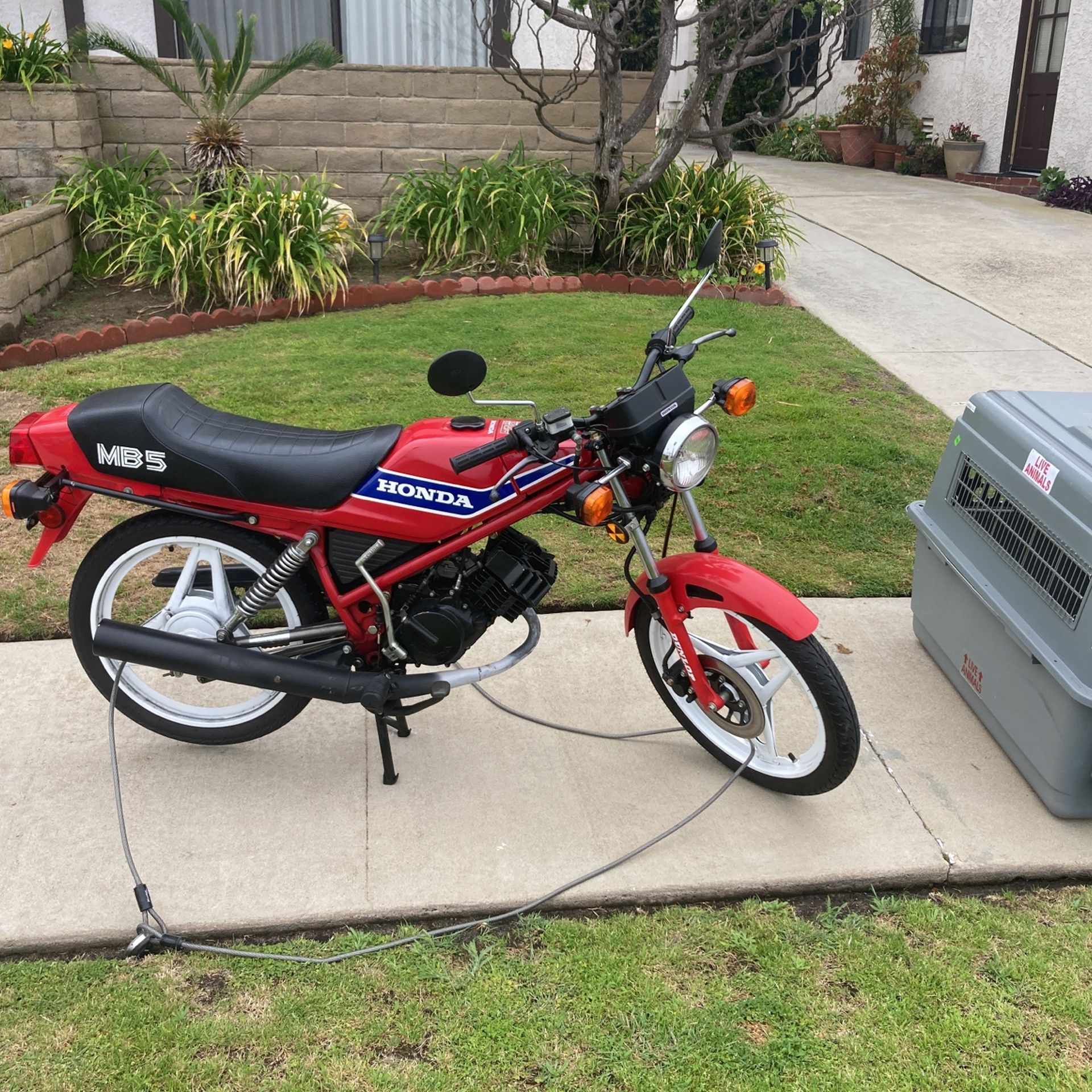 1982 Honda MB5 for Sale in Redondo Beach, CA - OfferUp