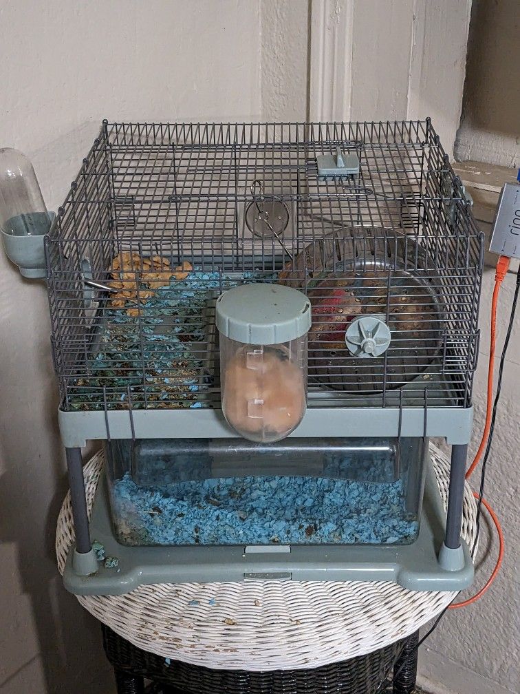 Teddy Bear Hamster Cages