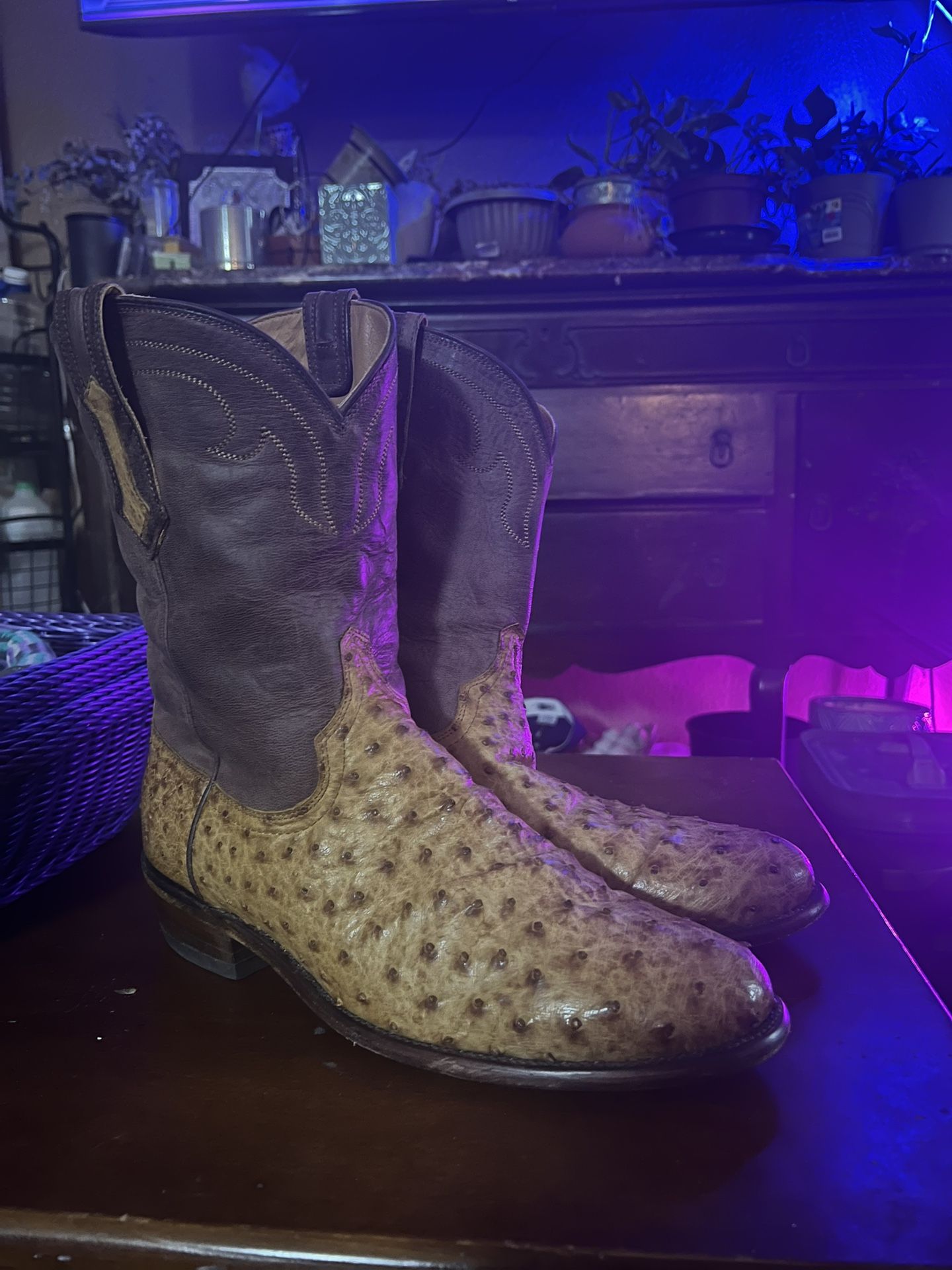 Tecovas Ostrich 12EE for Sale in Haltom City, TX - OfferUp