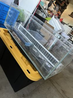 UNS 90L Rimless Fish Tank / Aquarium (FULL SETUP) for Sale in City Of ...