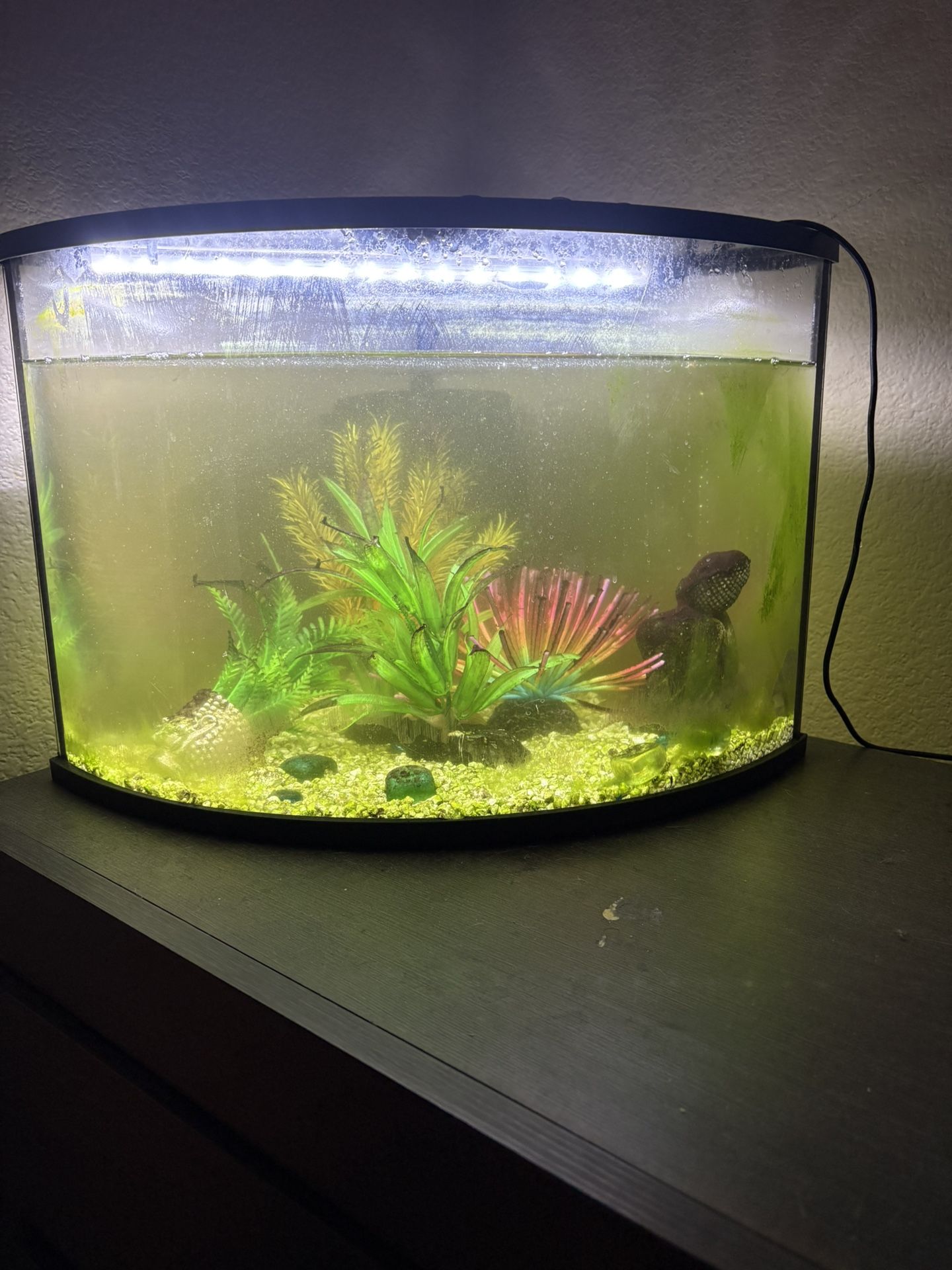 Corner Triangular Fish Tank for Sale in North Las Vegas, NV - OfferUp