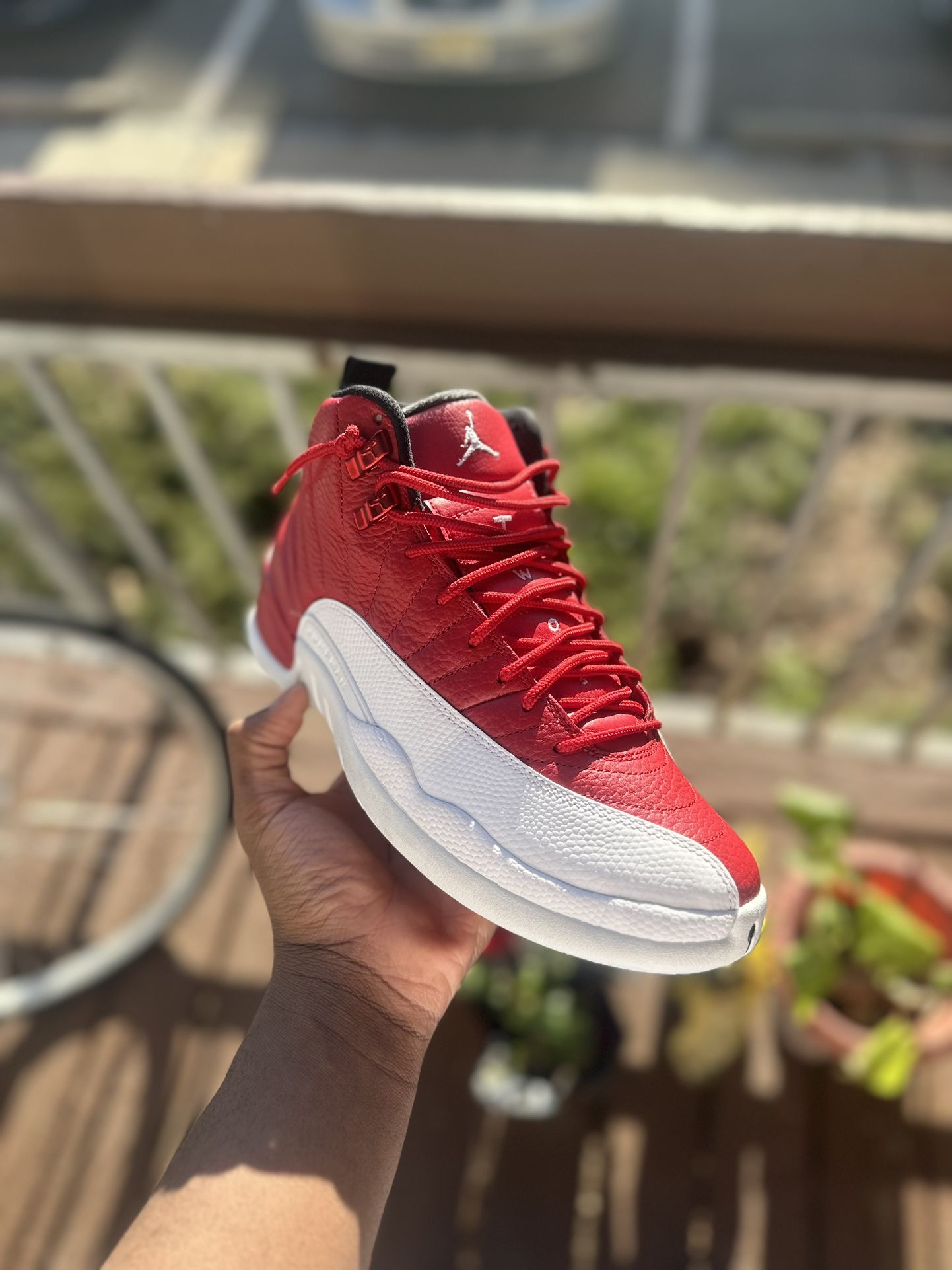 Red 12s