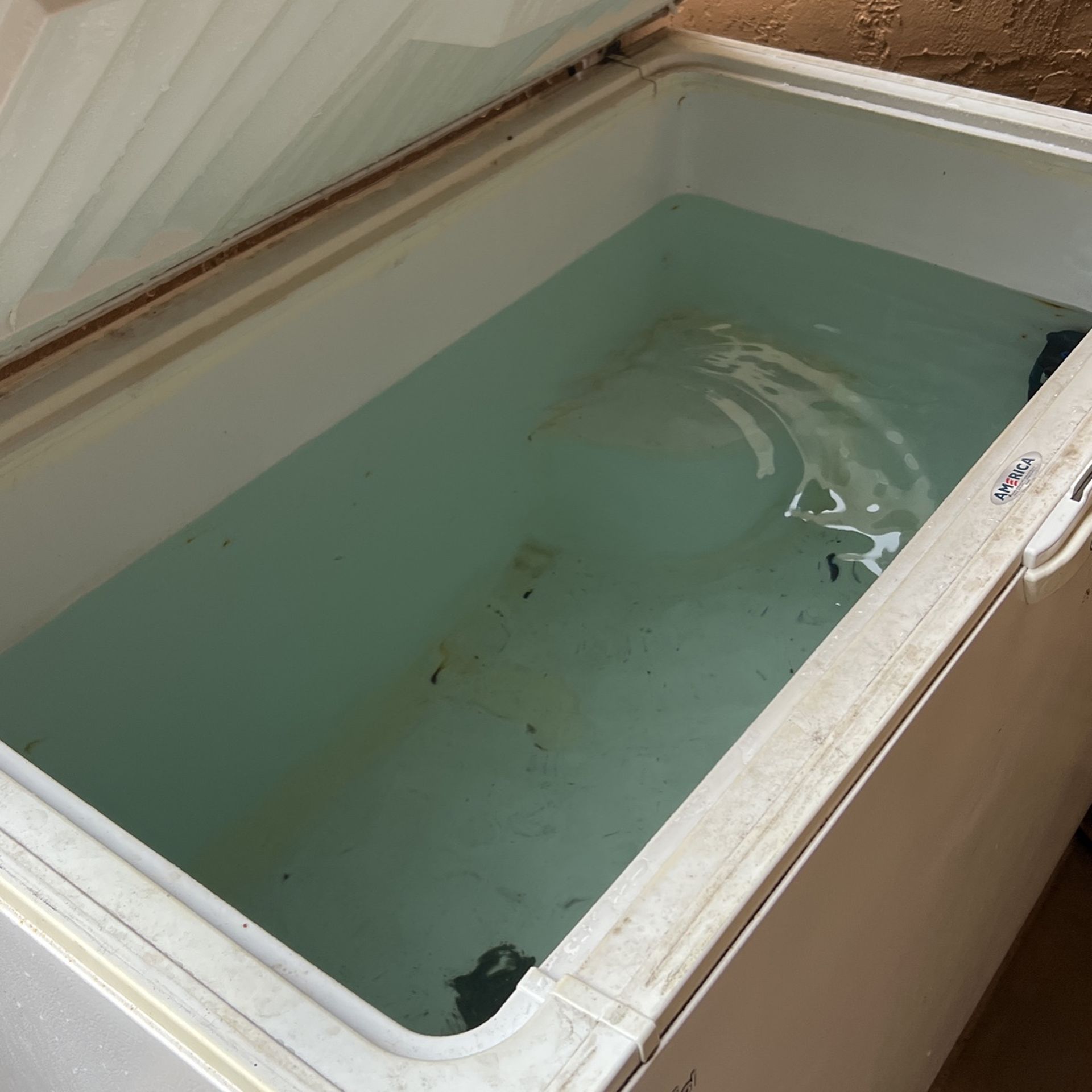 Chest Freezer To Cold Plunge at Joseph Florence blog