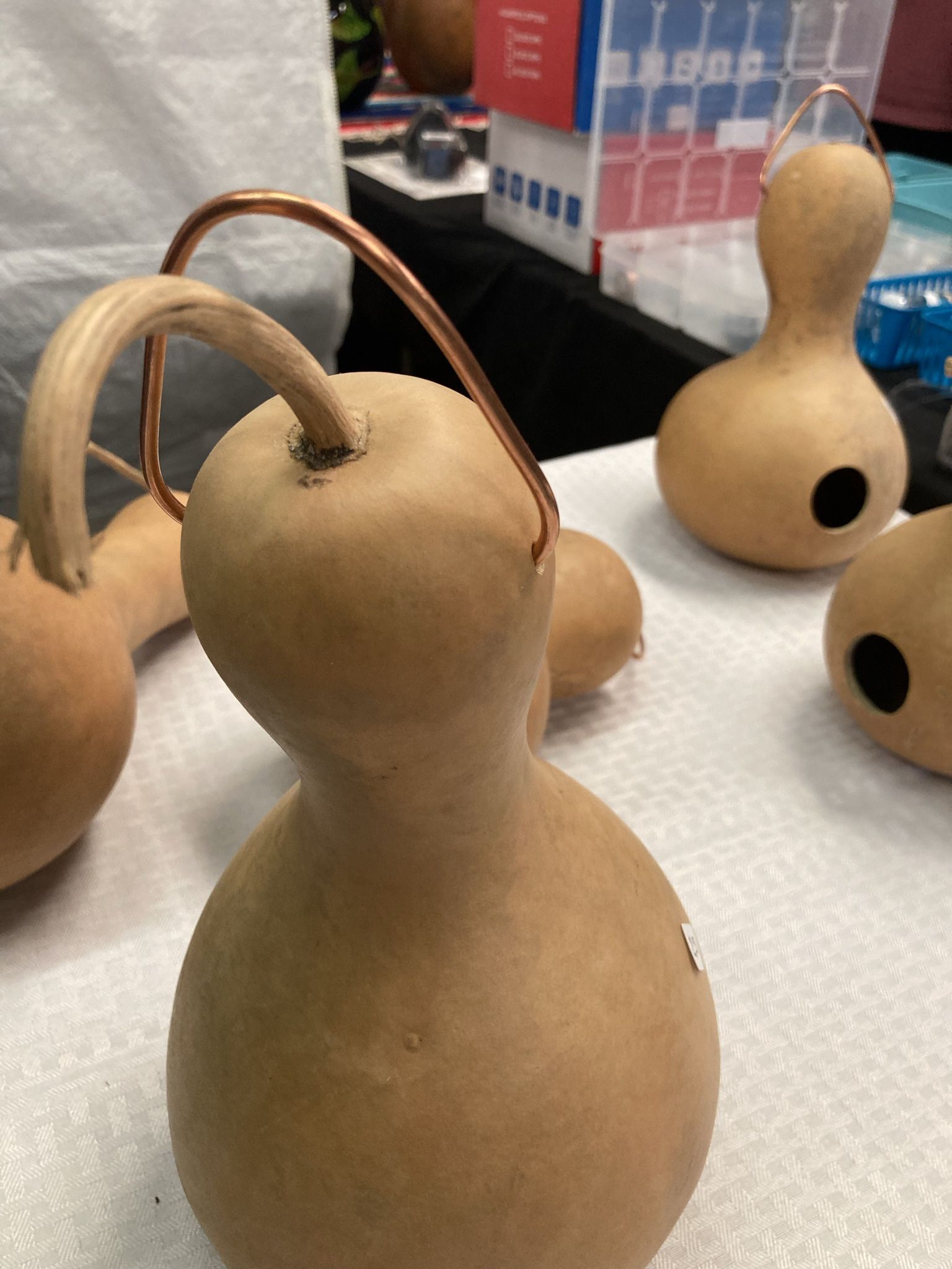 Arizona Gourds