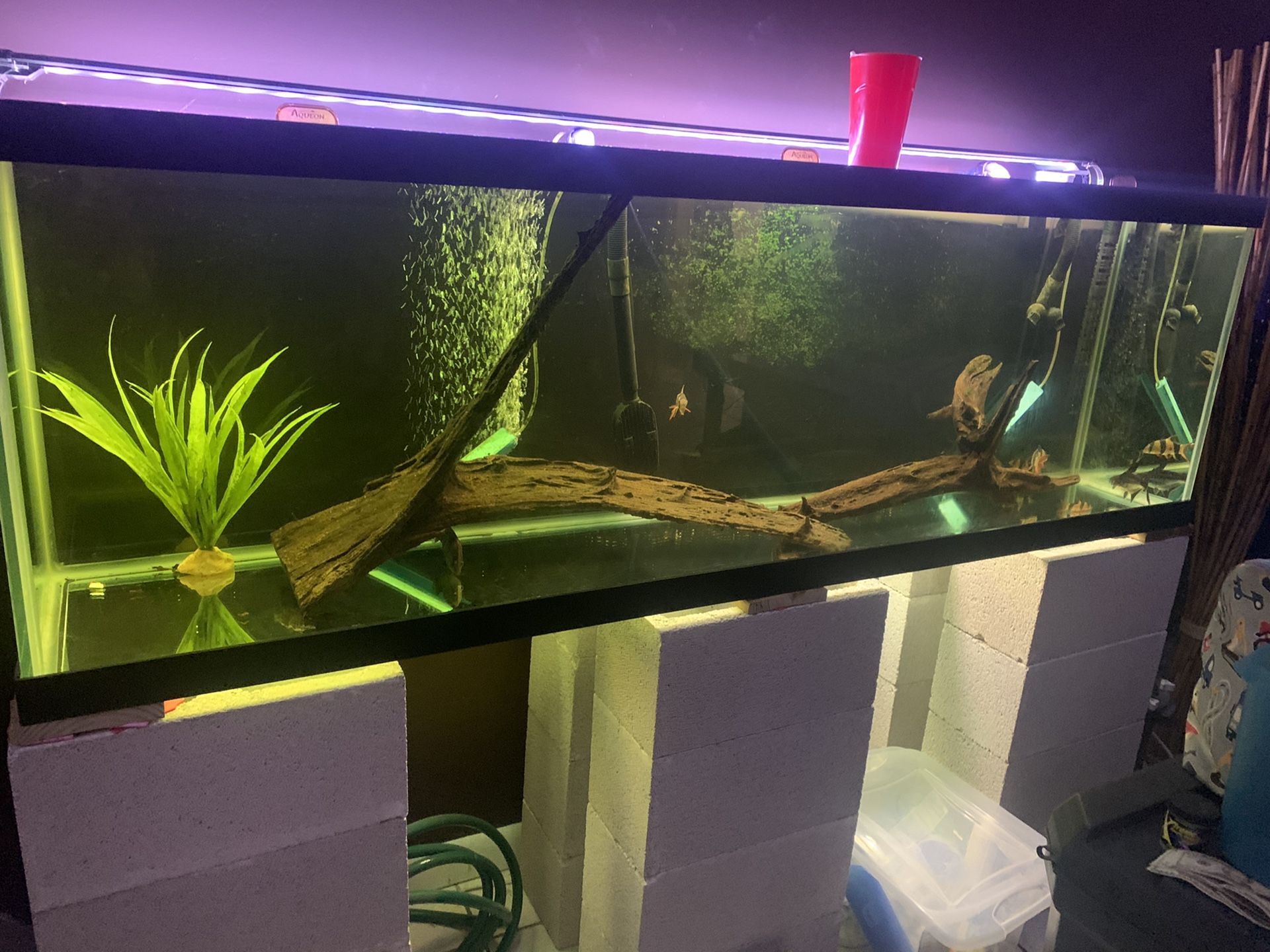 Read everything !!! 125 gallon fish tank aquarium for Sale in Miami, FL ...