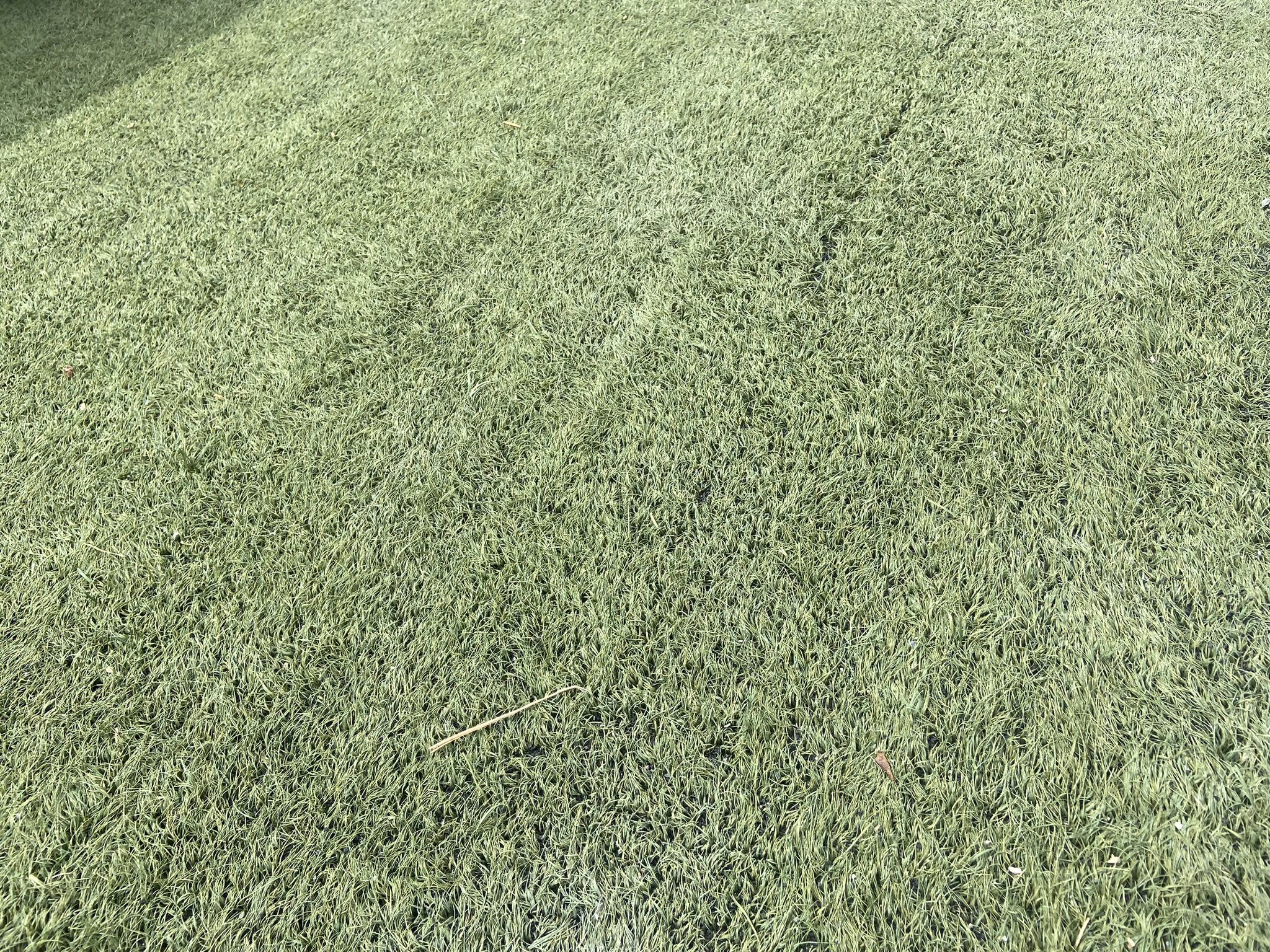 Commercial Grade Quality Turf Sale!!! for Sale in Pahrump, NV - OfferUp
