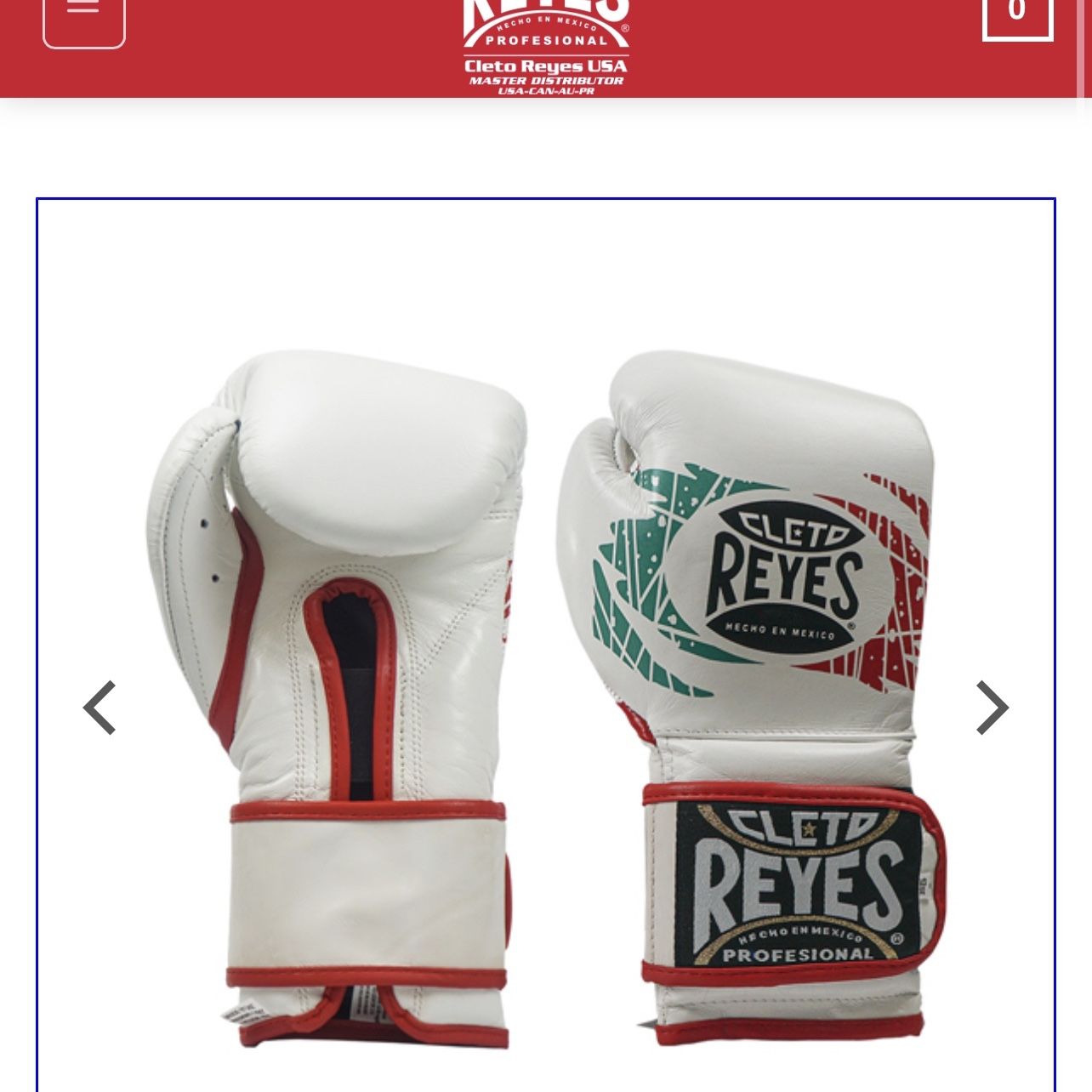 Cleto Reyes Mexico