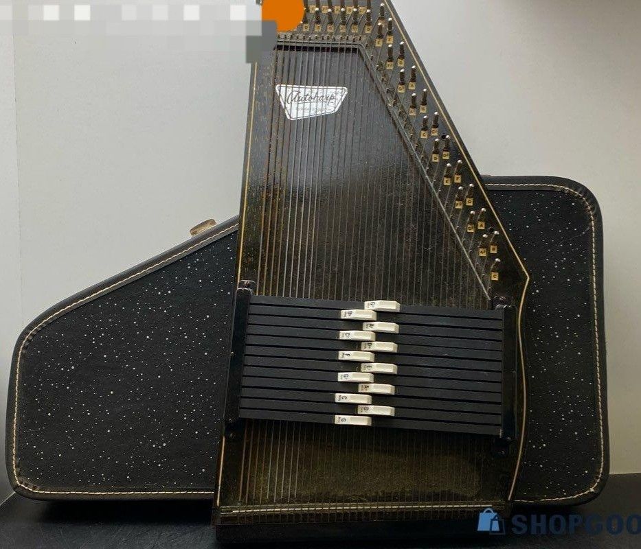 Oscar Schmidt Autoharp Case