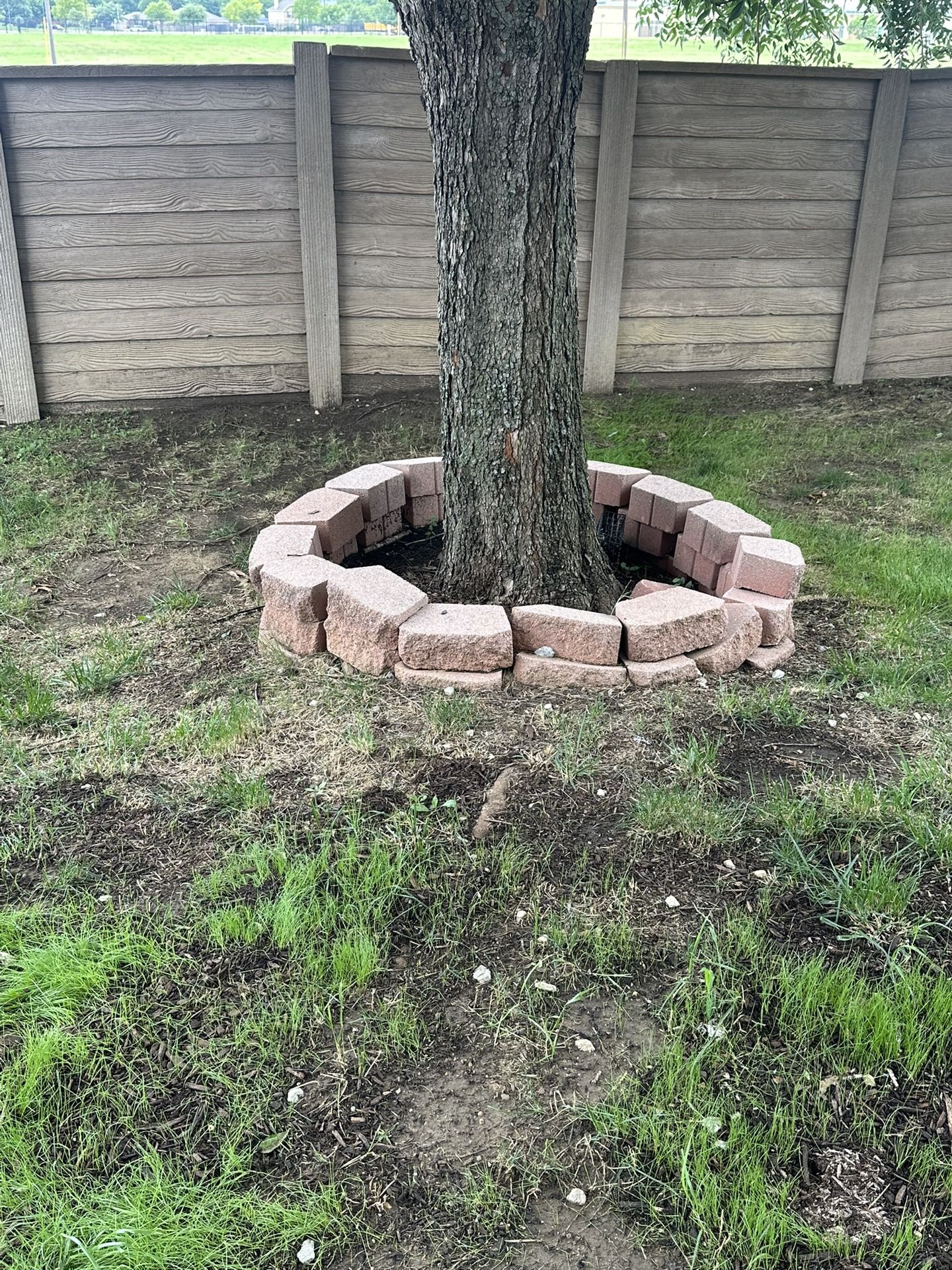 Bricks Around Tree for Sale in Burleson, TX - OfferUp