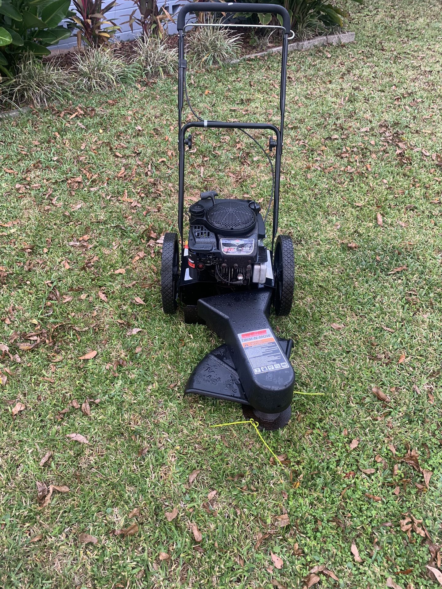 Push Mower/weed eater for Sale in Jacksonville, FL - OfferUp