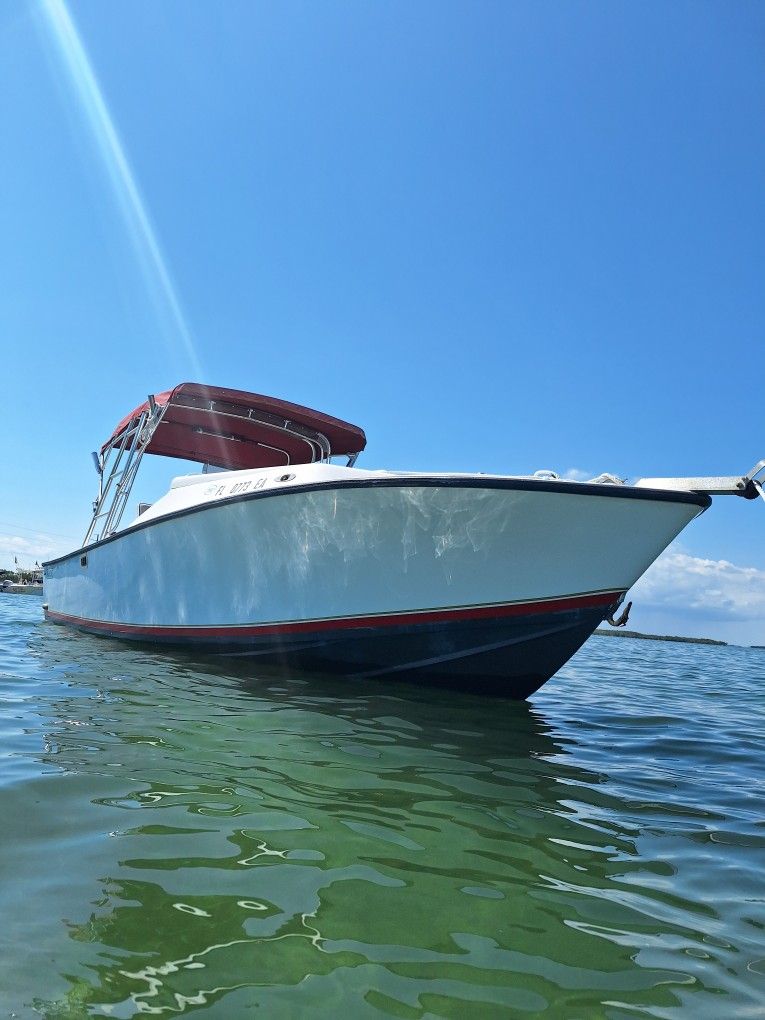 25 Rampone (See Vee, White Water) for Sale in Miami, FL - OfferUp