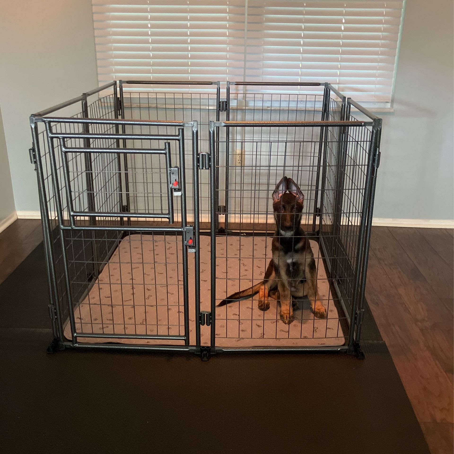 Kennel Master Dog / Puppy Play Pen for Sale in Spring Hill, FL - OfferUp