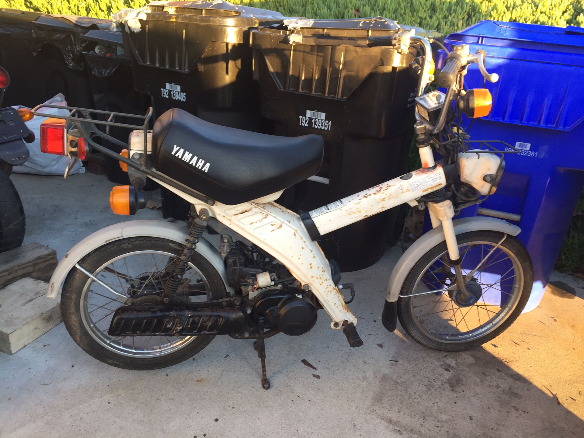 1981 Yamaha 50cc Scooter
