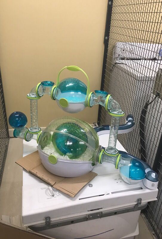 Mouse playground for mice hamsters and gerbils for Sale in Laurel, MD ...