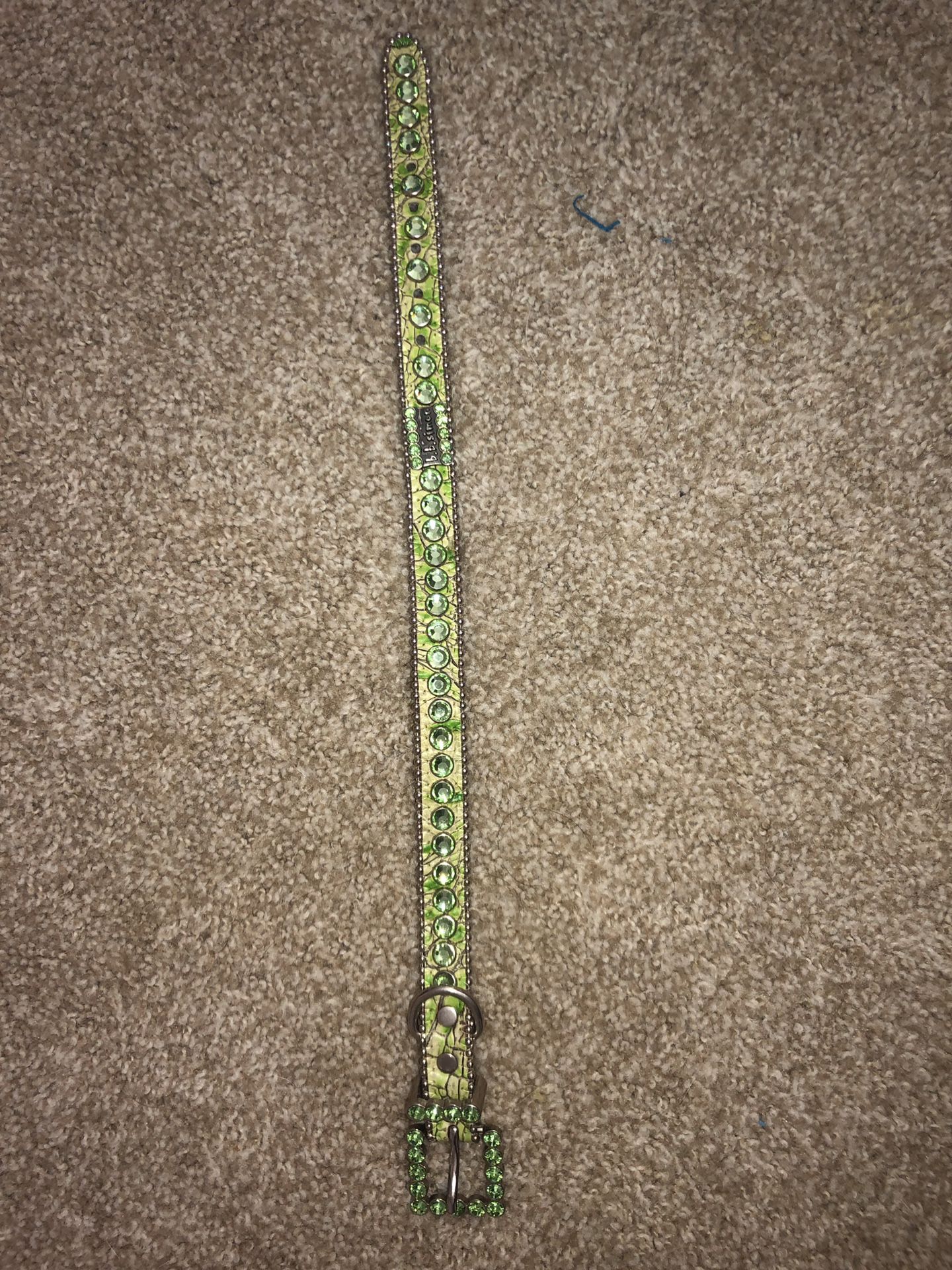 BB SIMON dog collar for Sale in Renton, WA - OfferUp