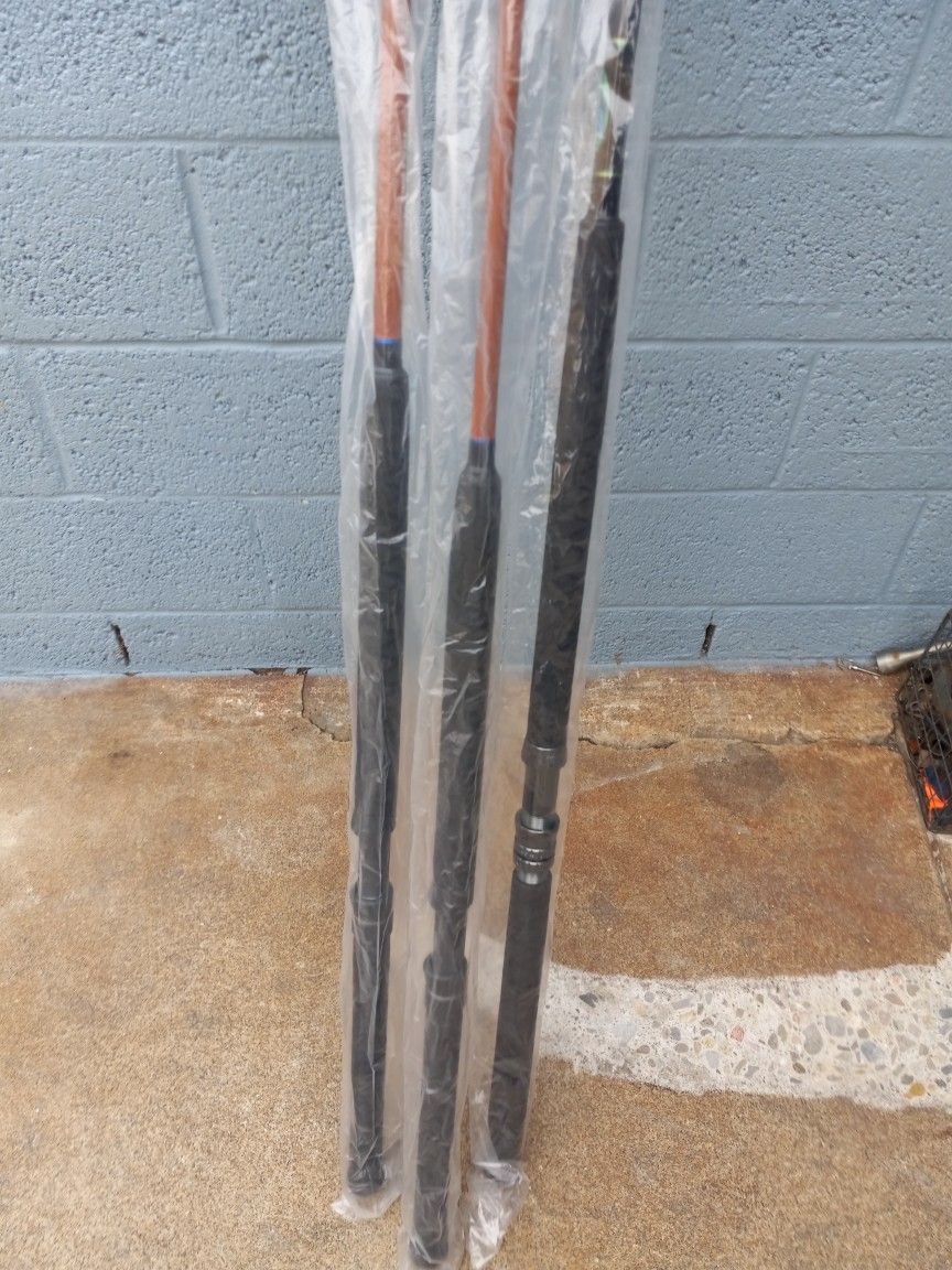 Bluefin Tuna Are Biting! Saltwater Fishing Rods for Sale in Garden ...