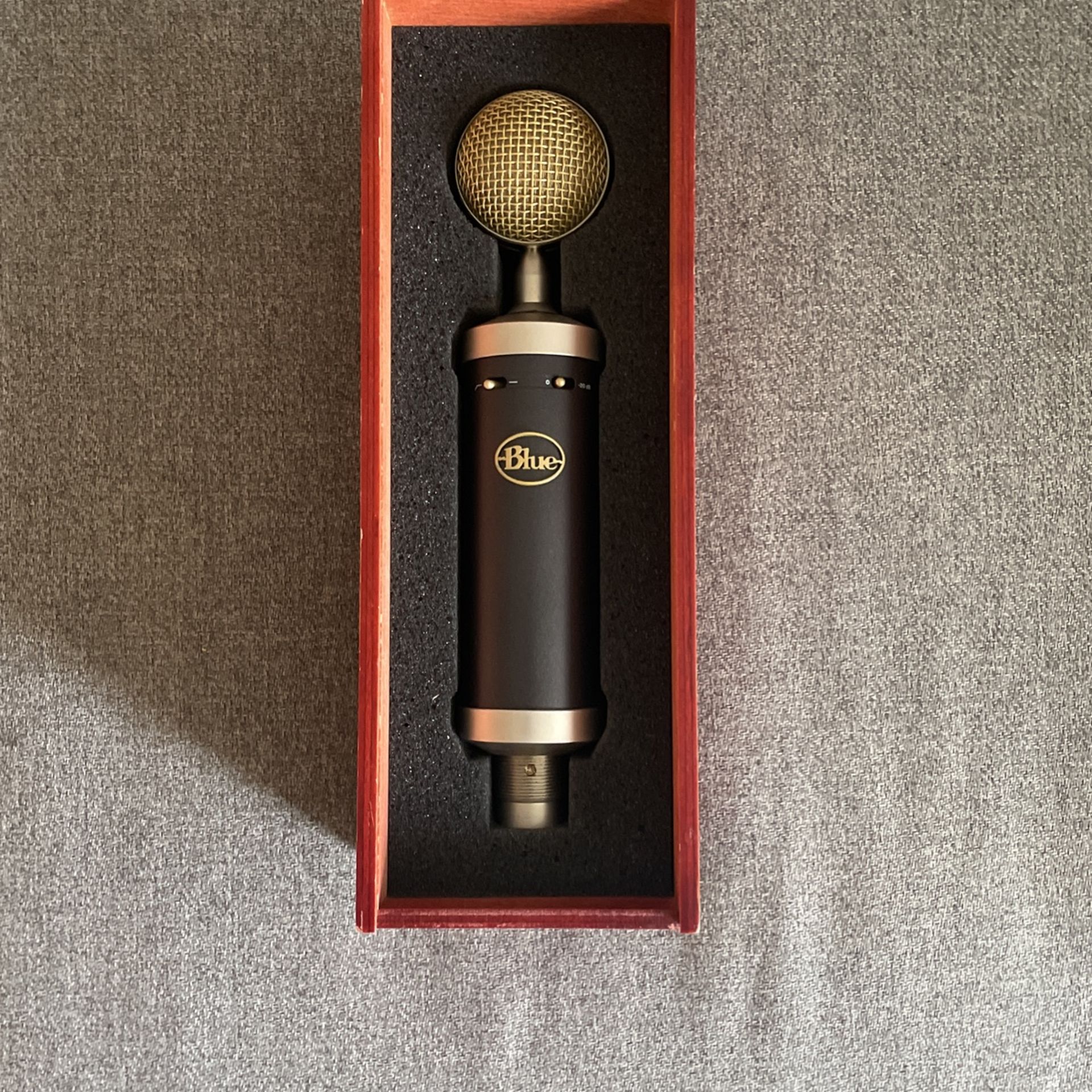 Blue Baby Bottle Mic