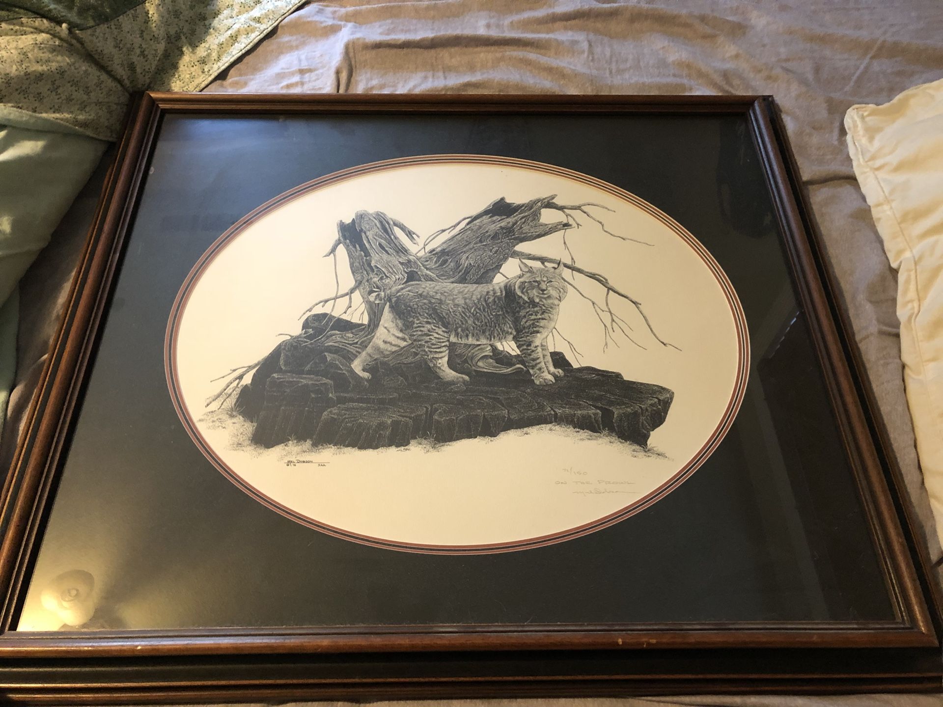 Framed Bobcat print artist Mel Dobson for Sale in Lacey, WA - OfferUp
