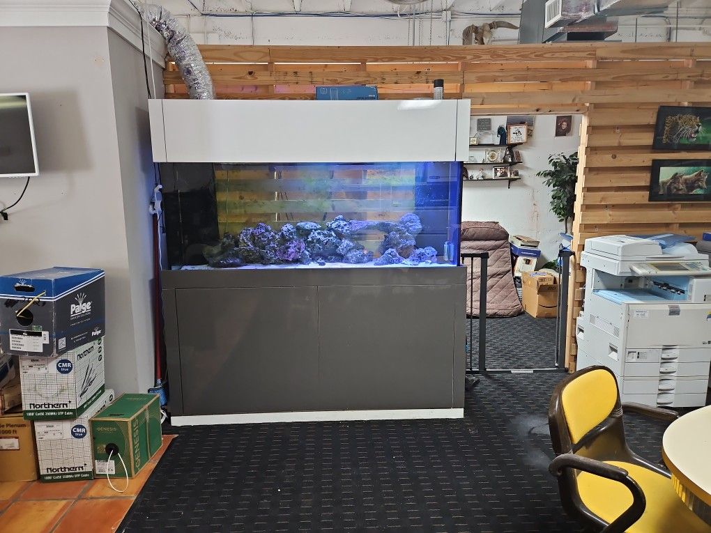 Beautiful 220 Gallon Fish tank. Luxury, Very Well Taken Care Of!! Fish ...