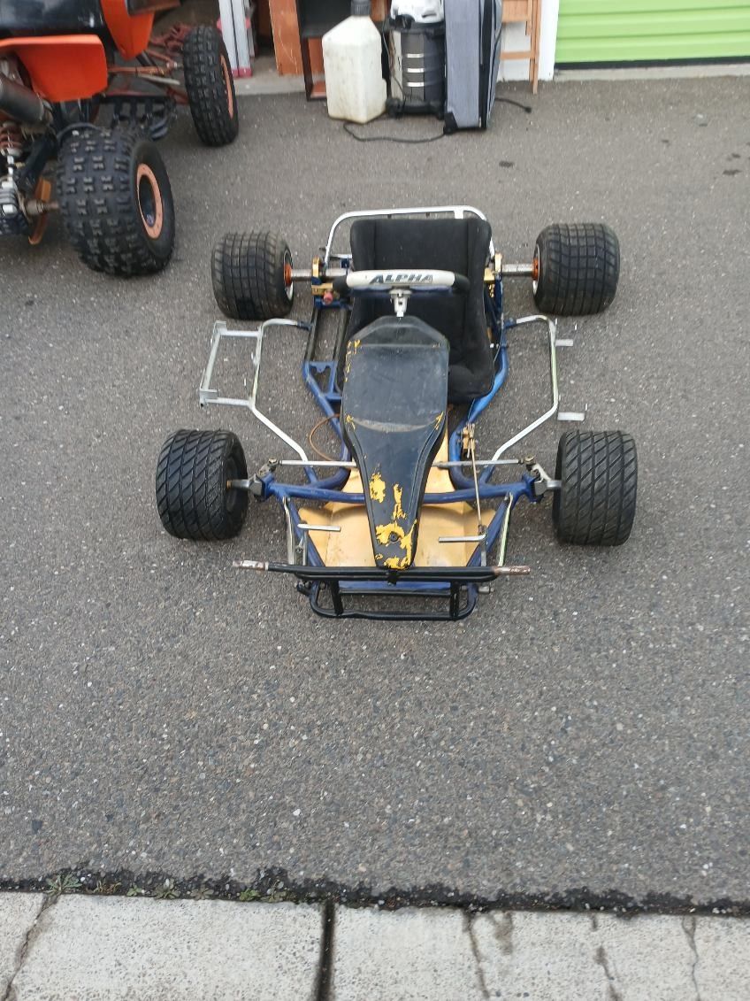 Racing Alpha Go Kart for Sale in North Highlands, CA - OfferUp