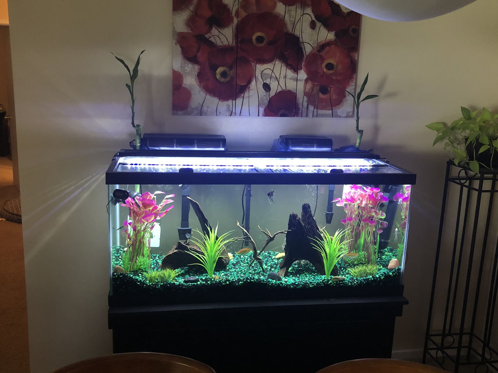 Marineland 75 gallon fish tank for Sale in Dunwoody, GA - OfferUp