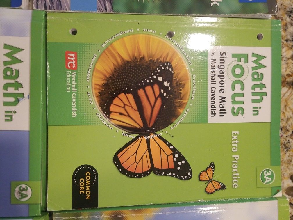 Math In Focus, Singapore Math 3A/3B/4A/4B Textbooks And Workbooks (Like ...