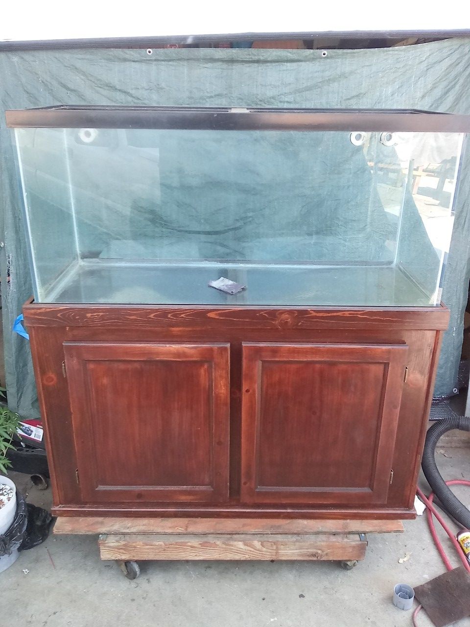 80 gallon aquarium with stand and bulkheads for Sale in Lake Elsinore ...