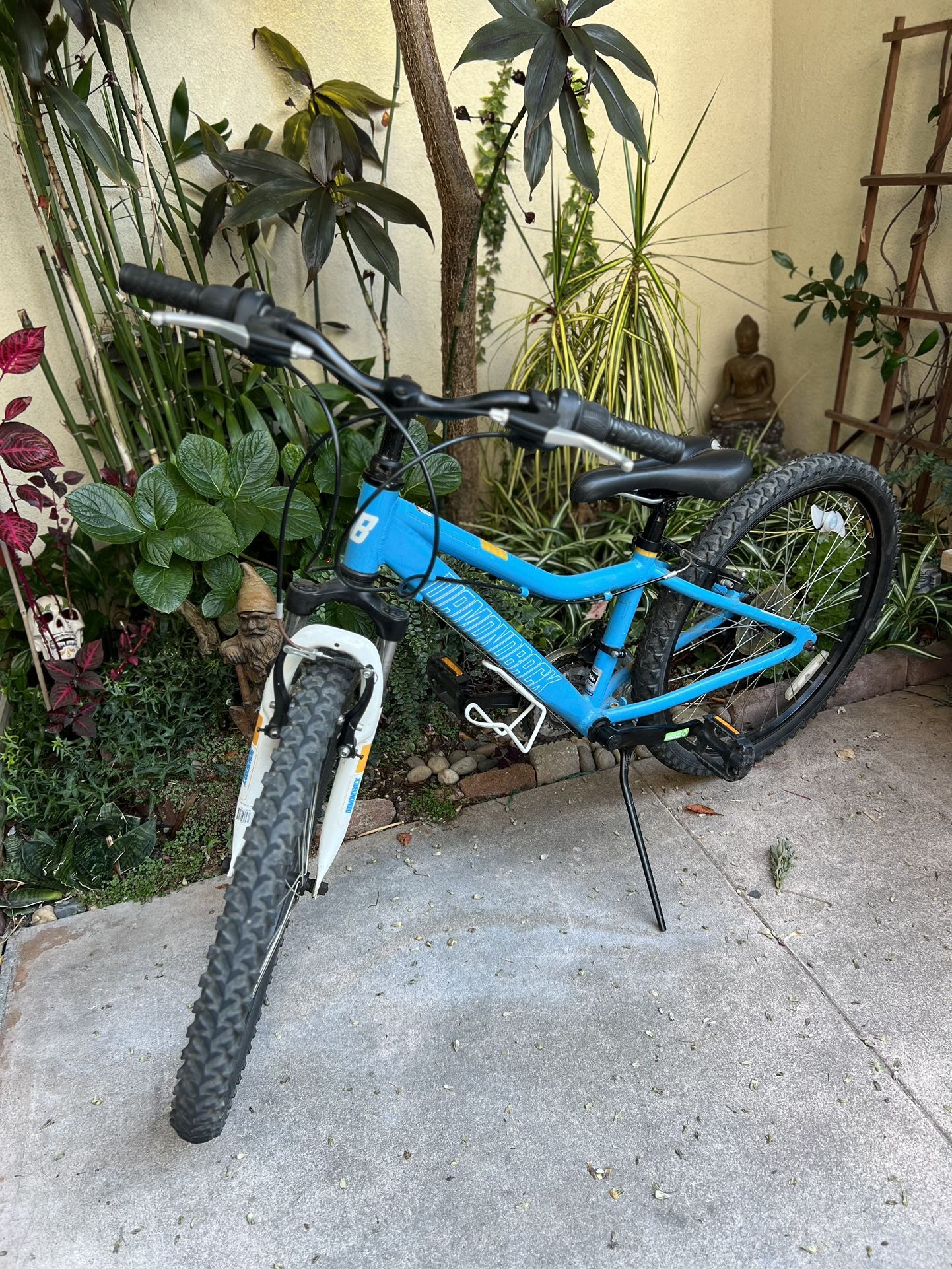 Diamondback 24 inch Lustre Mountain Bike for Sale in Los Angeles, CA ...
