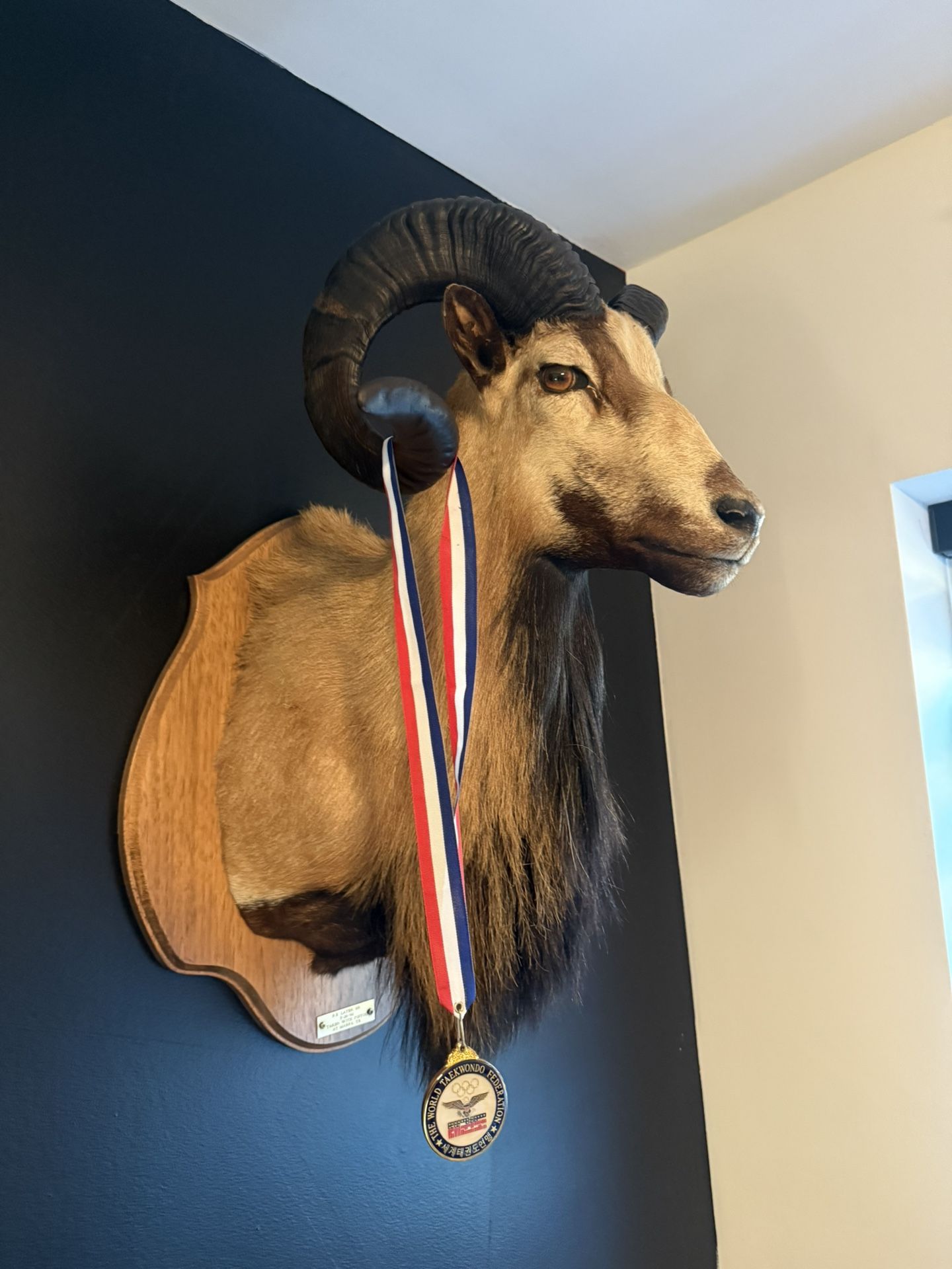 Large Taxidermy Ram / Sheep Mount – Real, Vintage for Sale in Tujunga ...