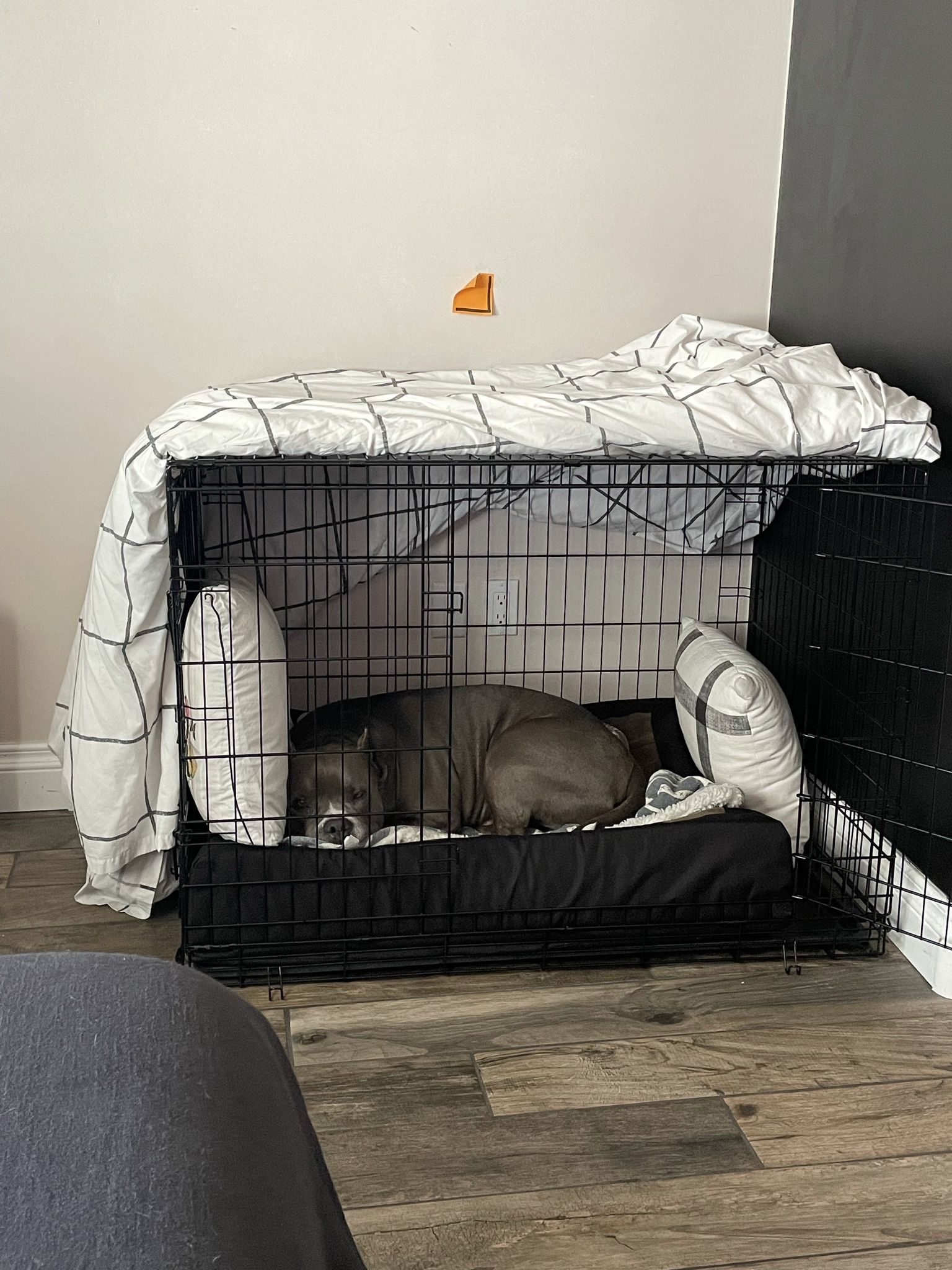 Dog Crate - Large for Sale in Riverside, CA - OfferUp
