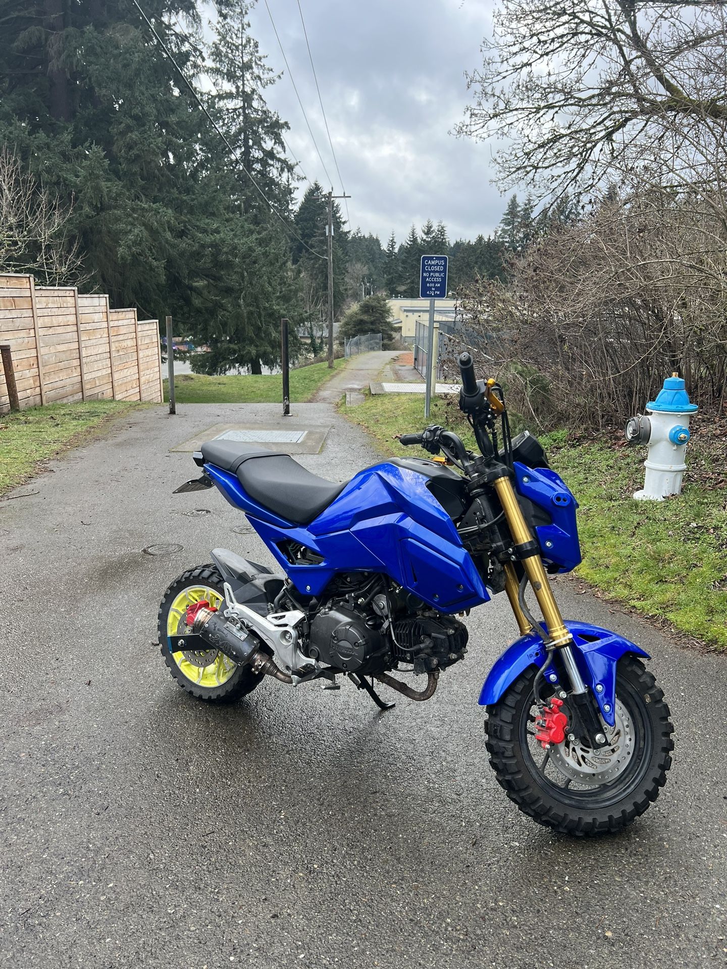 2019 Honda Grom 125 for Sale in Seattle, WA - OfferUp