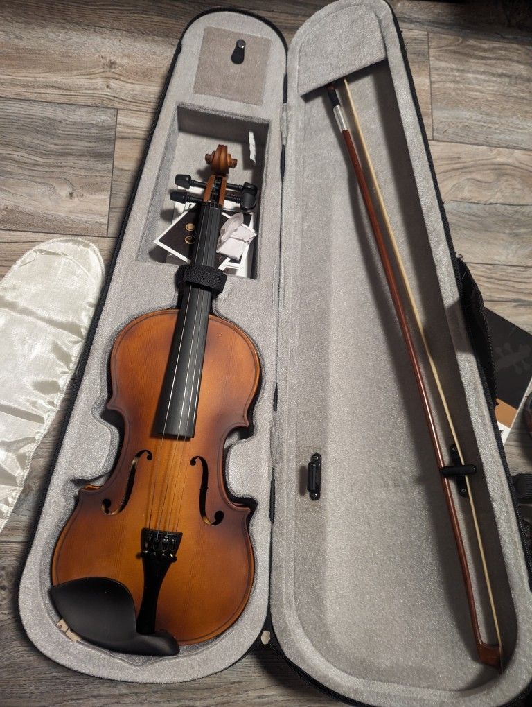 Cecilio Violin 4/4 for Sale in Seattle, WA - OfferUp