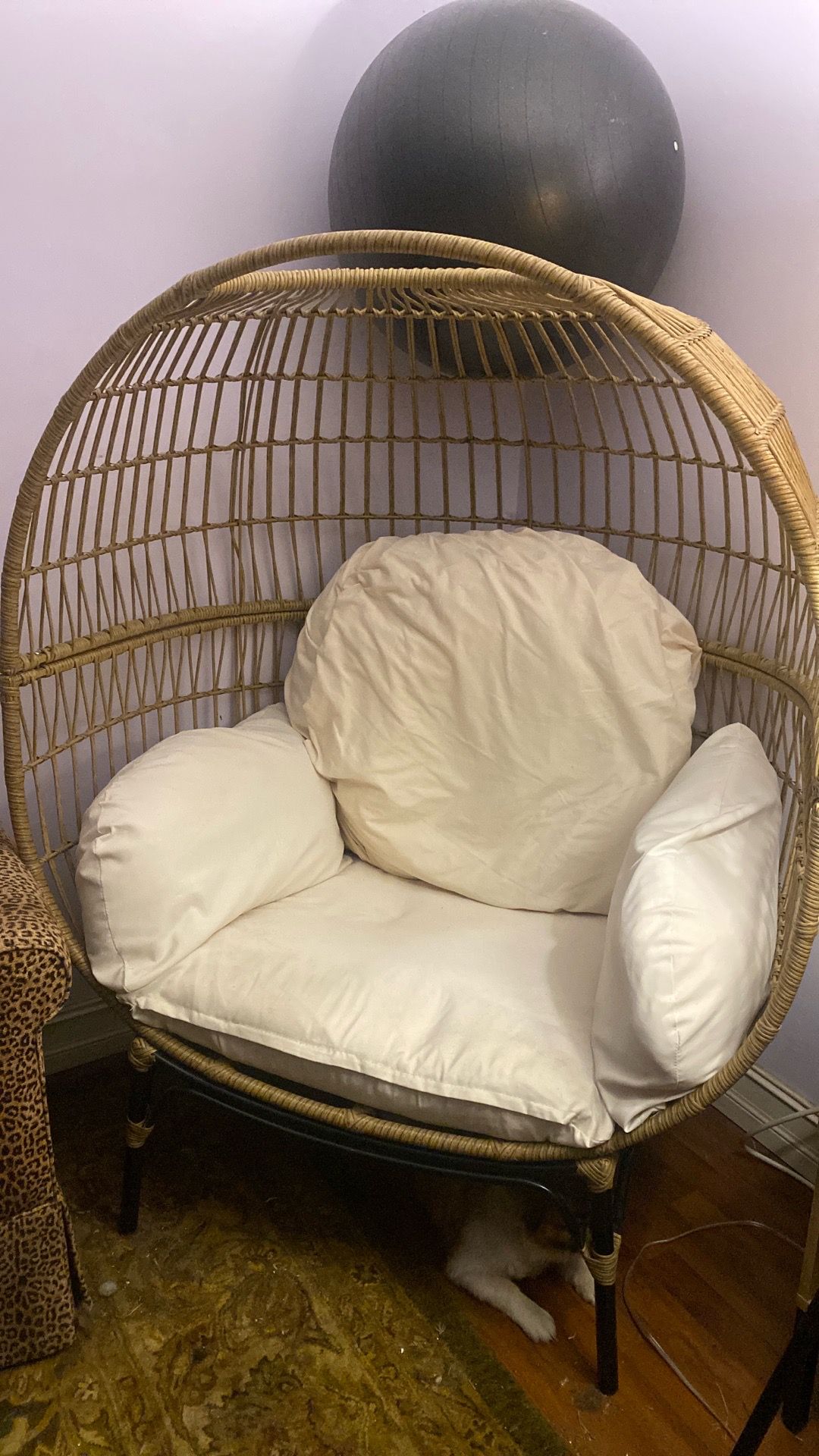 XL egg chair for Sale in Fort Lauderdale, FL - OfferUp