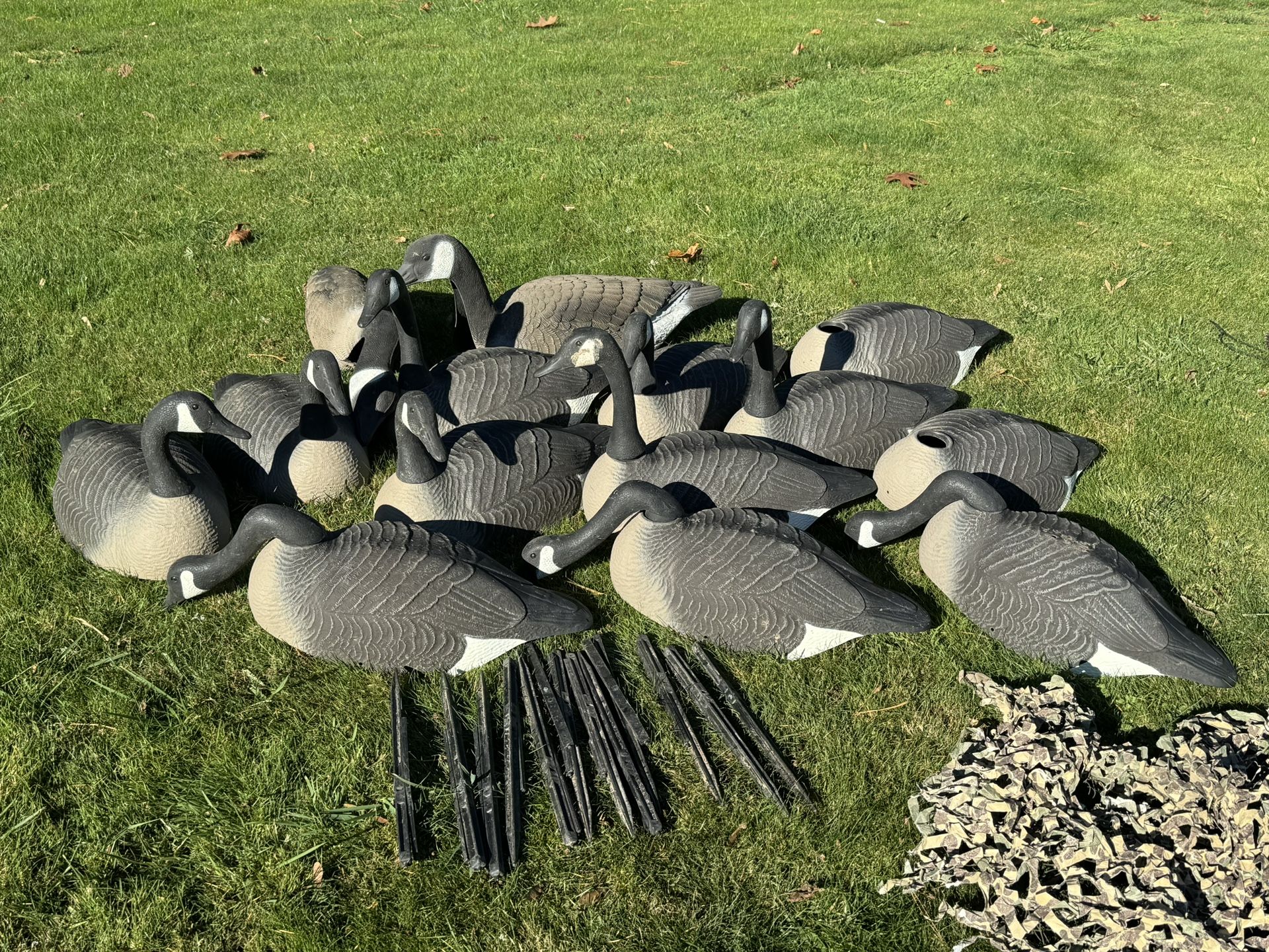 Goose Decoys for Sale in Puyallup, WA - OfferUp