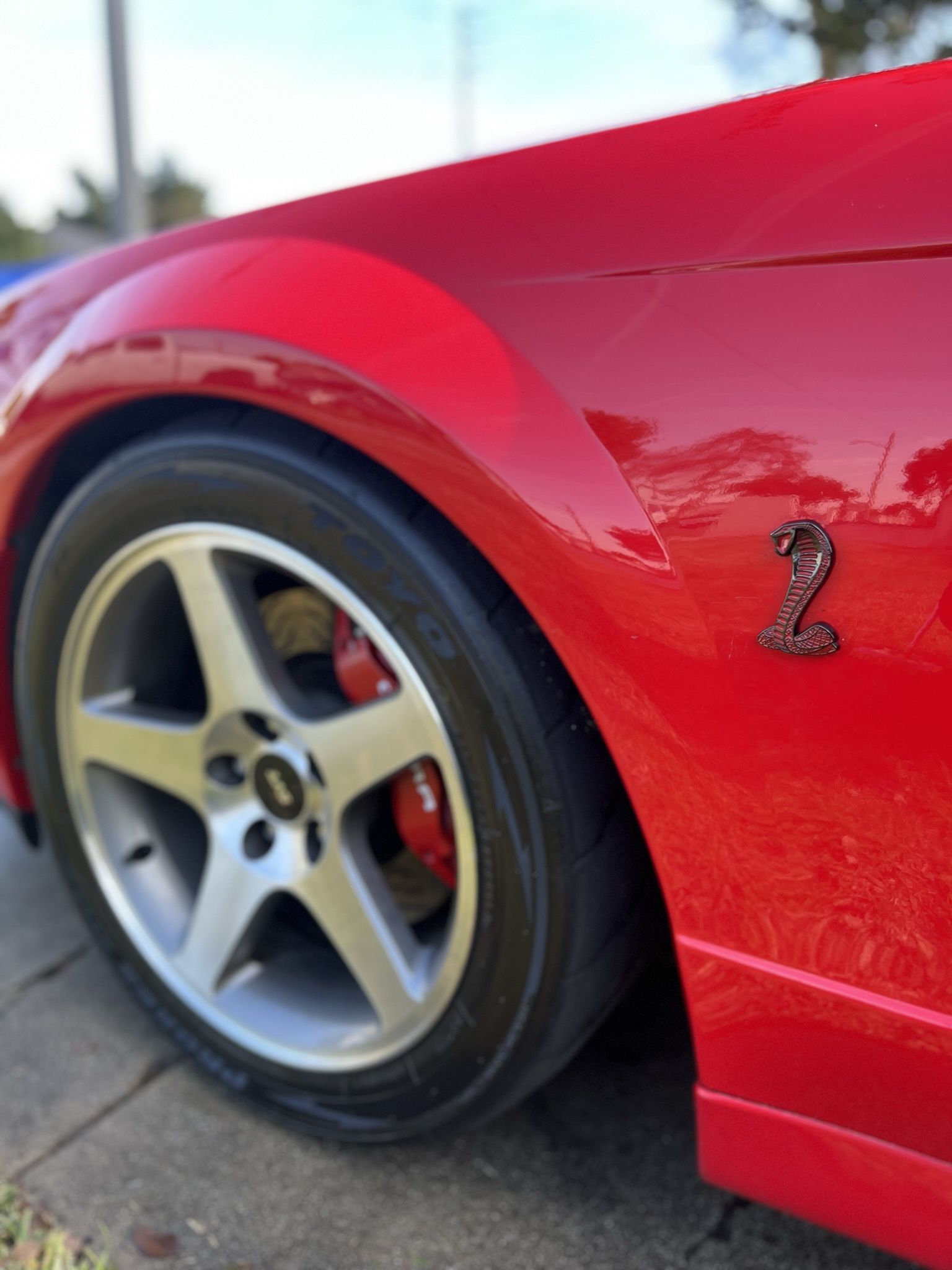2003 SVT Cobra OEM Wheels With Tires for Sale in San Pedro, CA - OfferUp