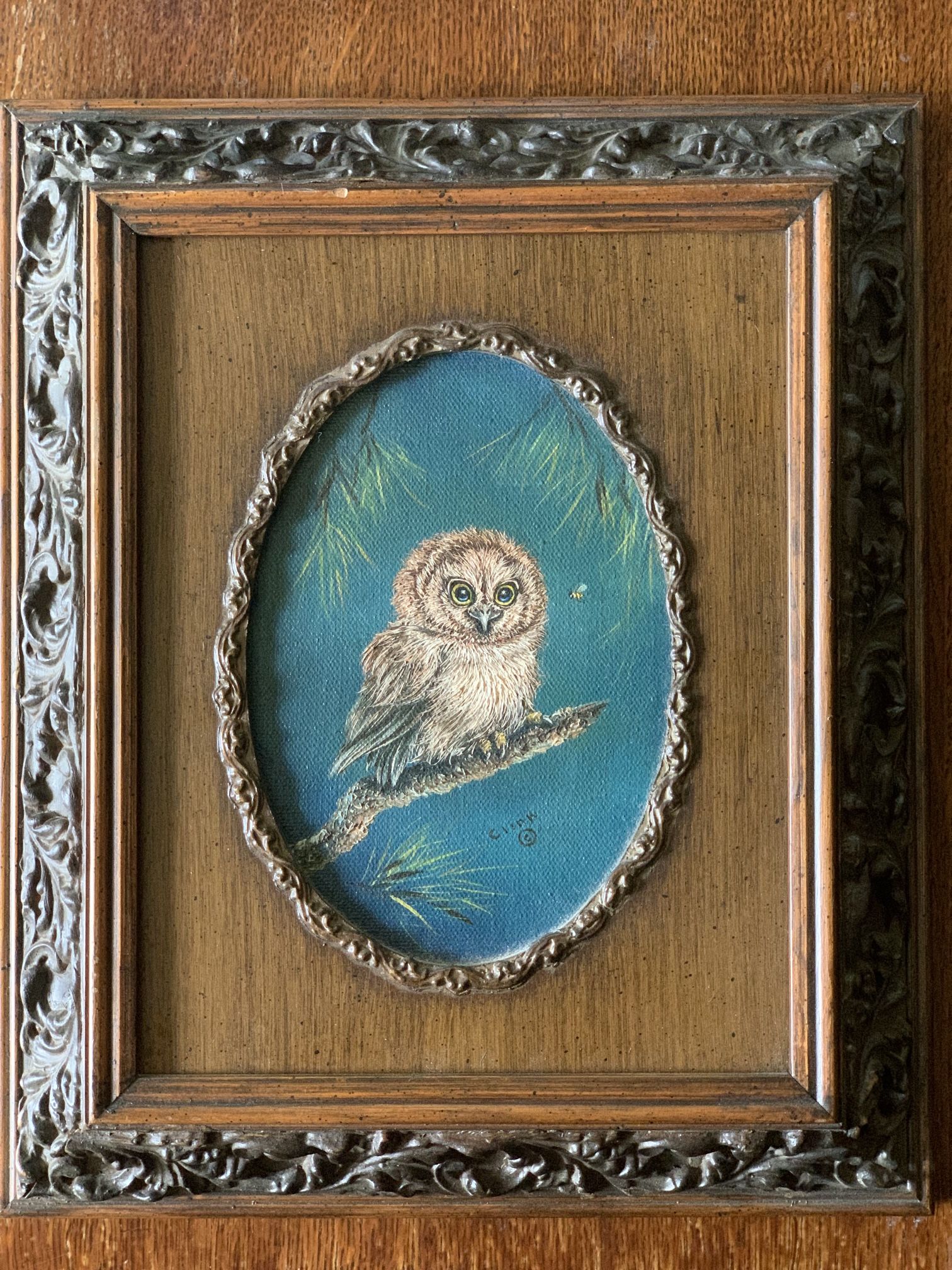 5x7 Owl Painting by Mary Clink Pugh for Sale in Pasadena, CA - OfferUp