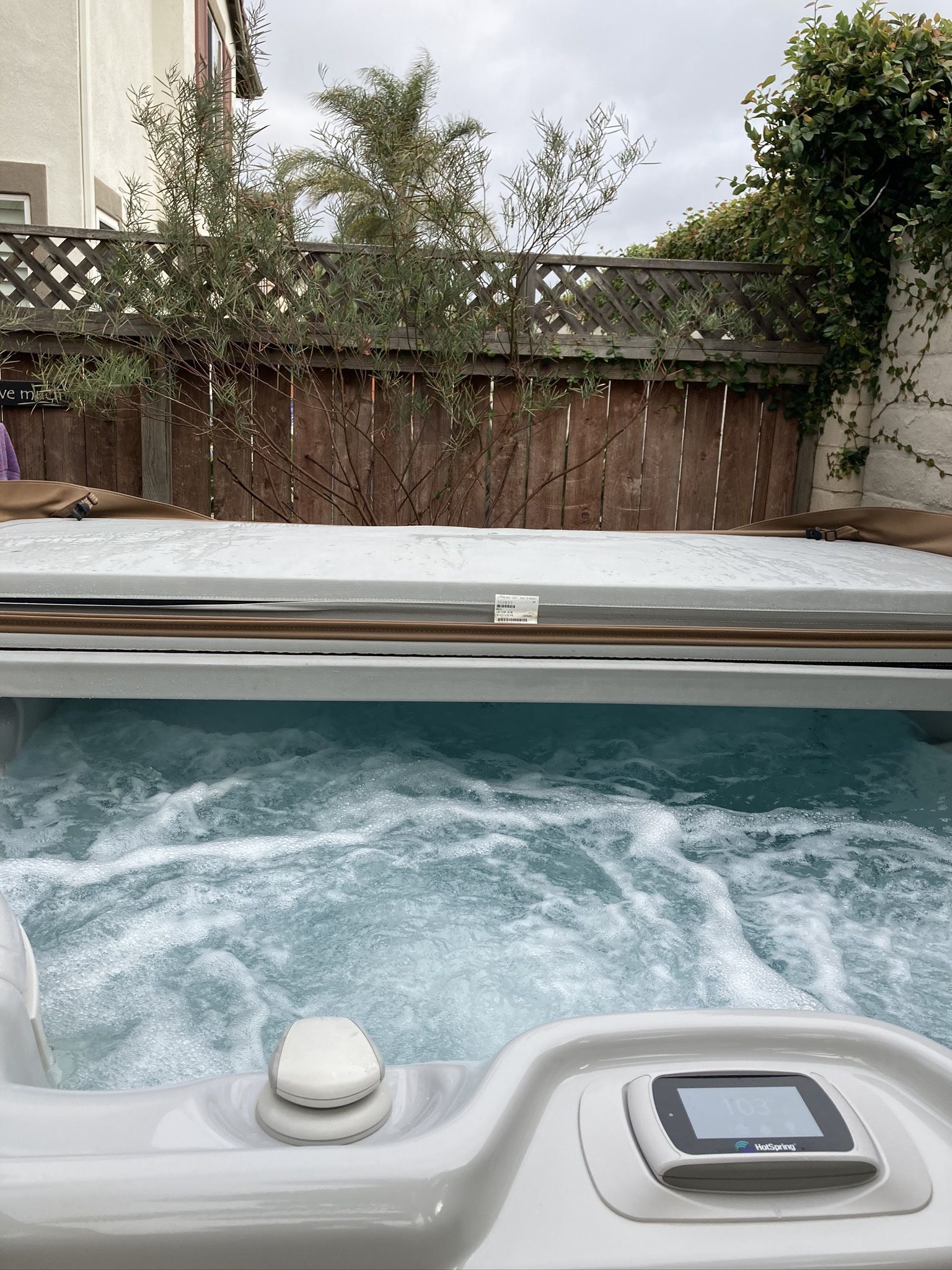 HOT SPRINGS ENVOY JACUZZI for Sale in Carlsbad, CA - OfferUp
