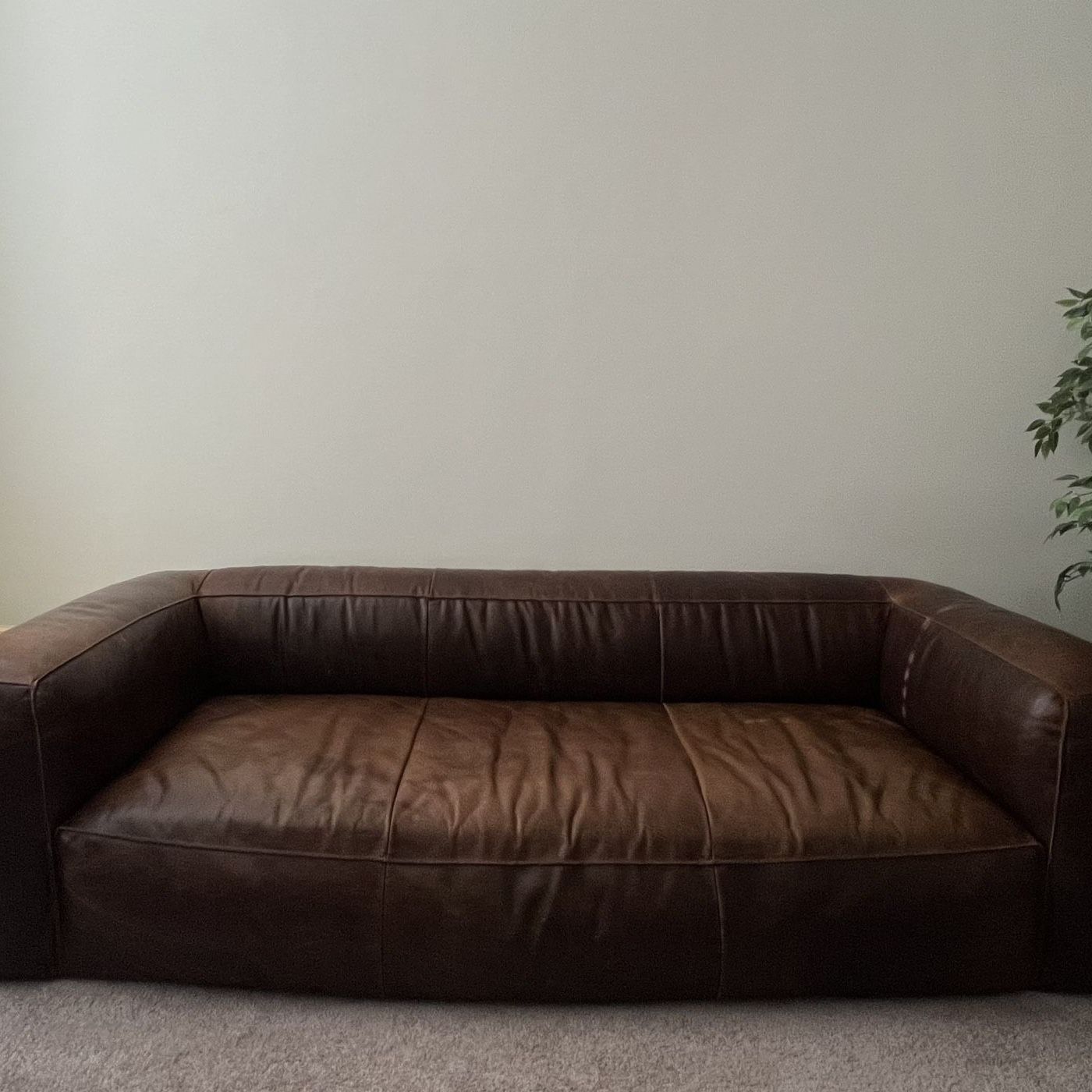 Article Cigar Sofa | Baci Living Room